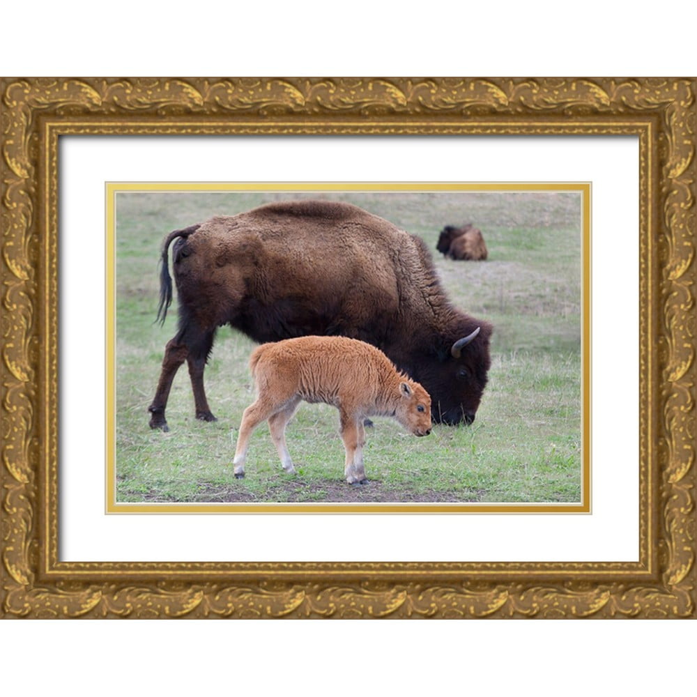 Wild, Jamie and Judy 18x13 Gold Ornate Wood Framed with Double Matting ...