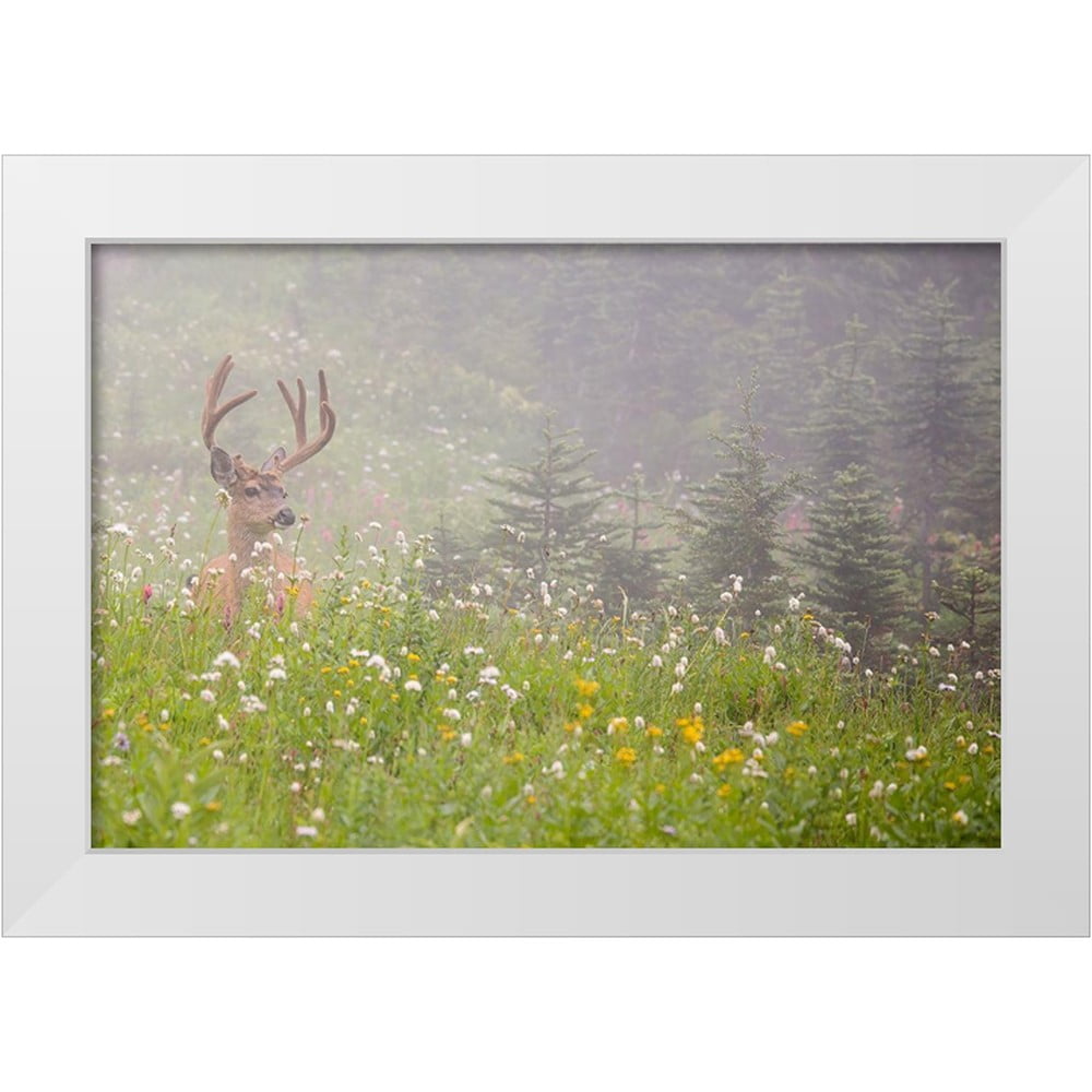 Wild, Jamie and Judy 24x17 White Modern Wood Framed Museum Art Print ...