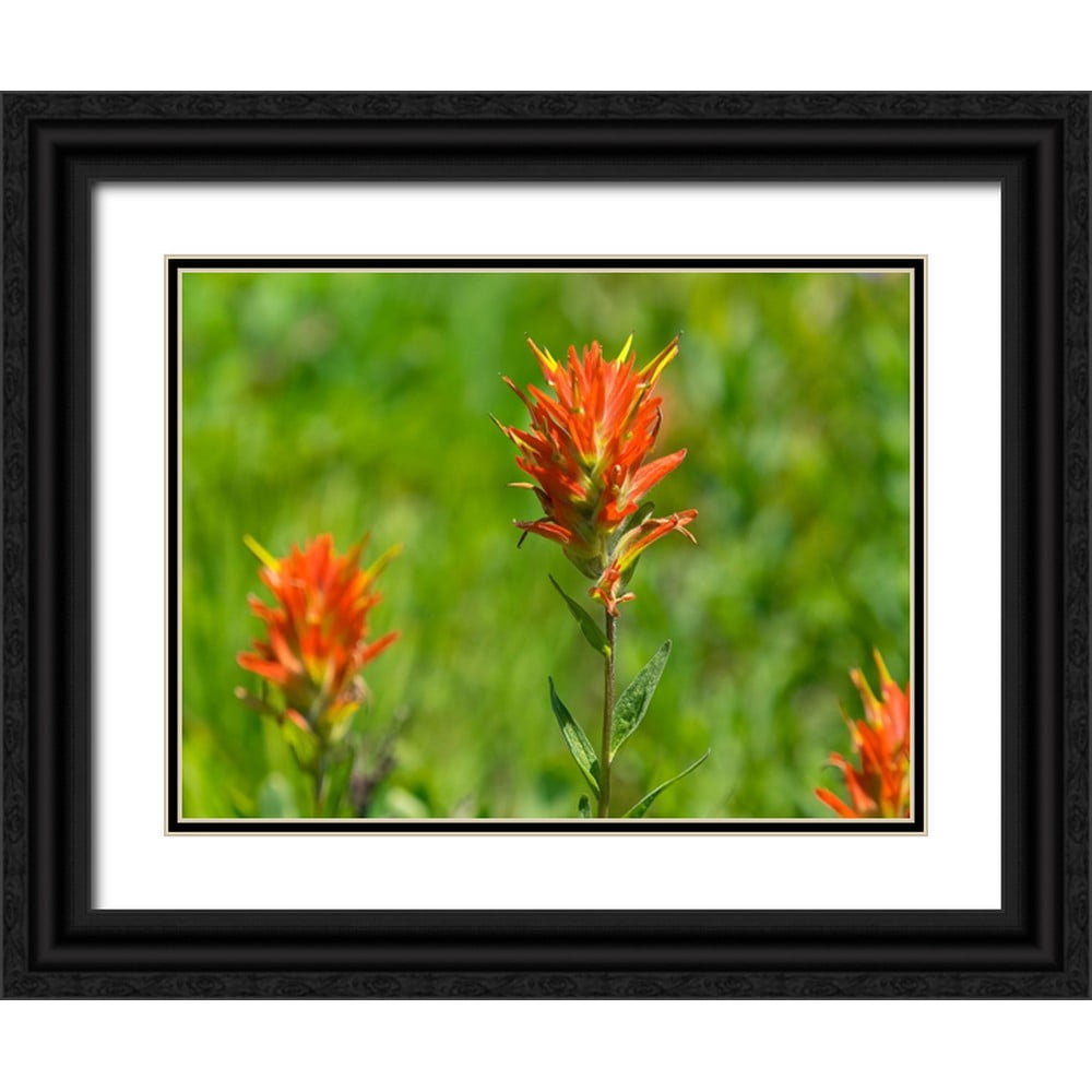 Wild, Jamie and Judy 24x19 Black Ornate Wood Framed with Double Matting ...