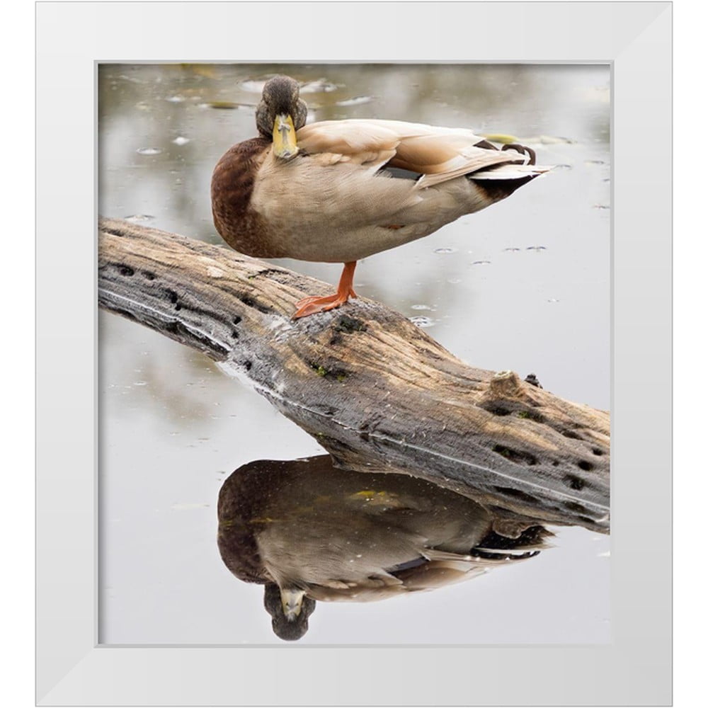 Wild, Jamie and Judy 12x13 White Modern Wood Framed Museum Art Print ...