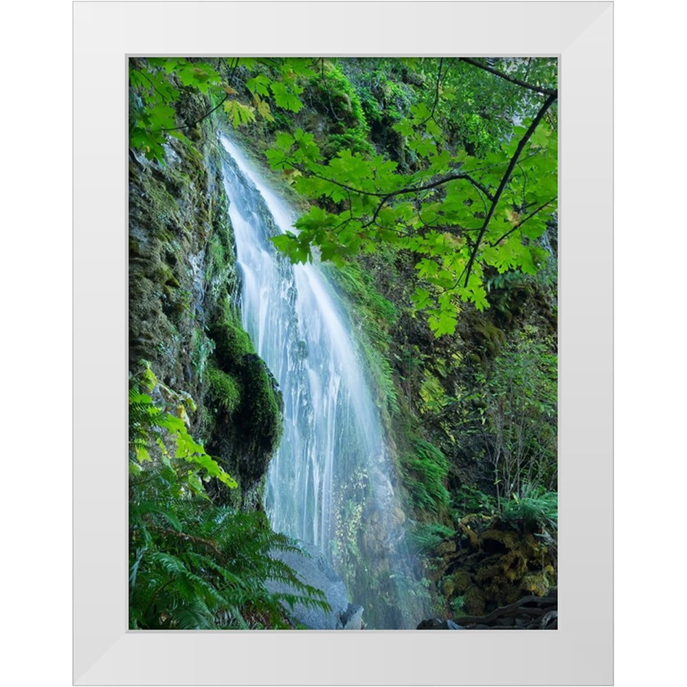 Wild, Jamie and Judy 12x14 White Modern Wood Framed Museum Art Print ...