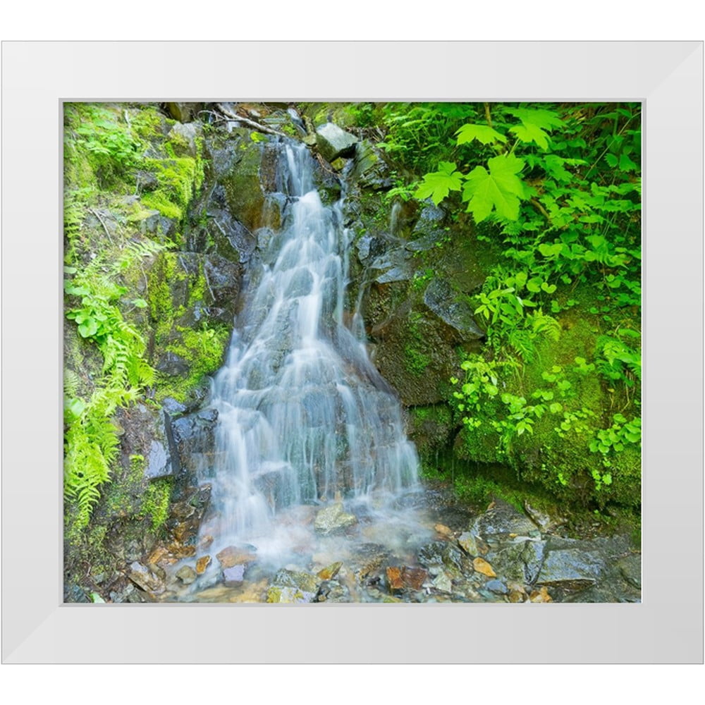 Wild, Jamie and Judy 13x12 White Modern Wood Framed Museum Art Print ...