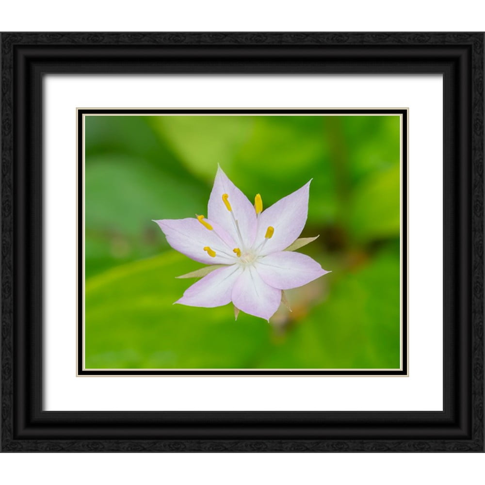 Wild, Jamie and Judy 14x12 Black Ornate Wood Framed with Double Matting ...