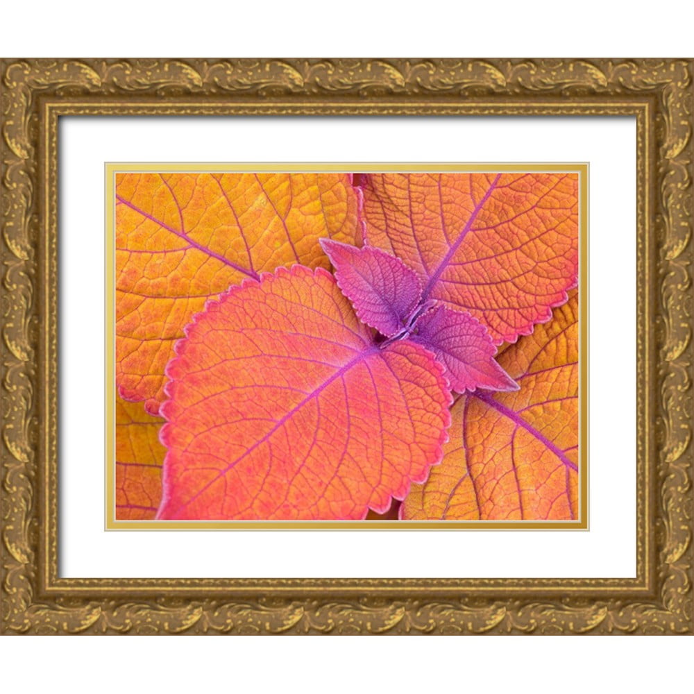 Wild, Jamie and Judy 14x12 Gold Ornate Wood Framed with Double Matting ...