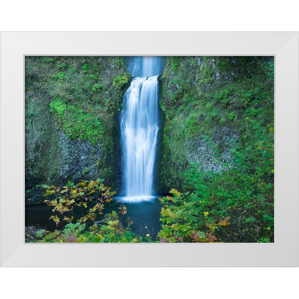 Wild, Jamie and Judy 14x12 White Modern Wood Framed Museum Art Print ...