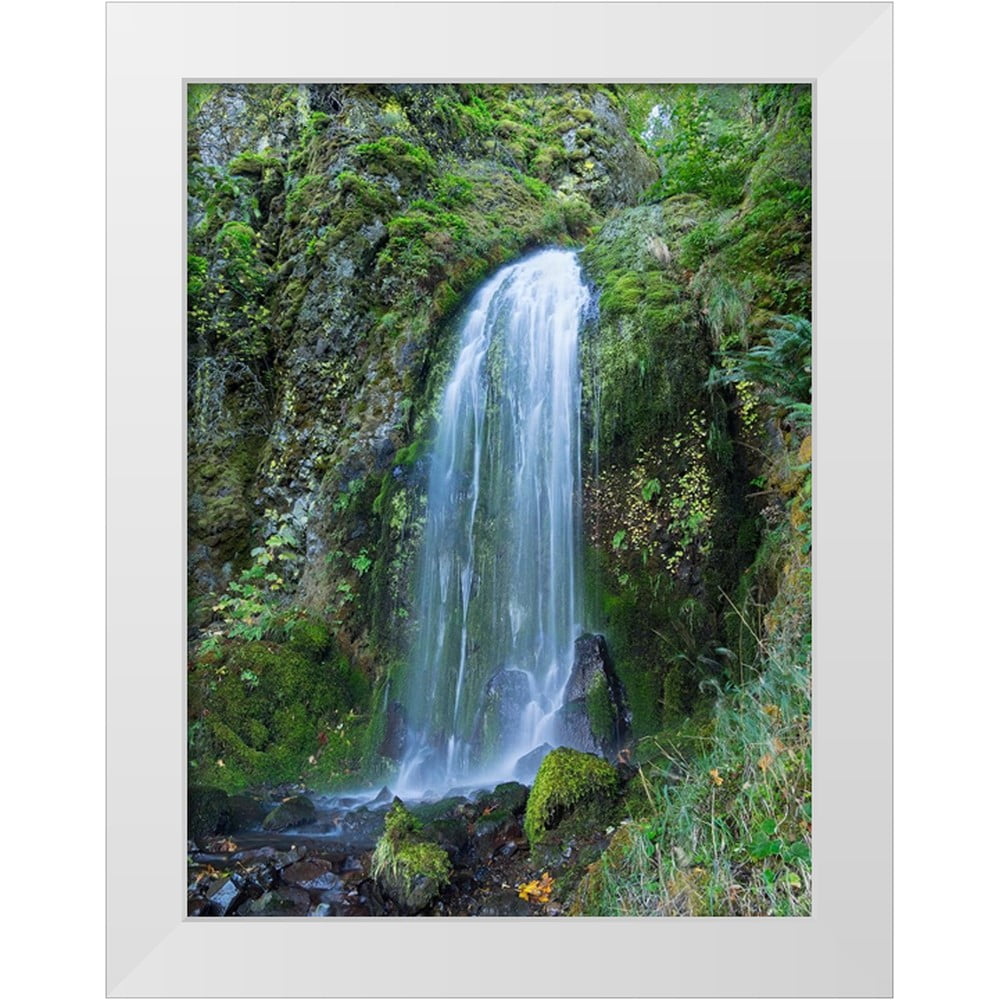 Wild, Jamie and Judy 15x18 White Modern Wood Framed Museum Art Print ...