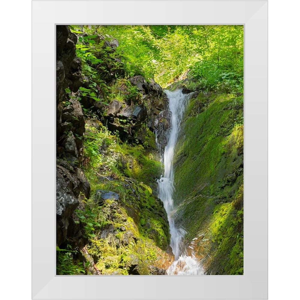 Wild, Jamie and Judy 15x18 White Modern Wood Framed Museum Art Print ...