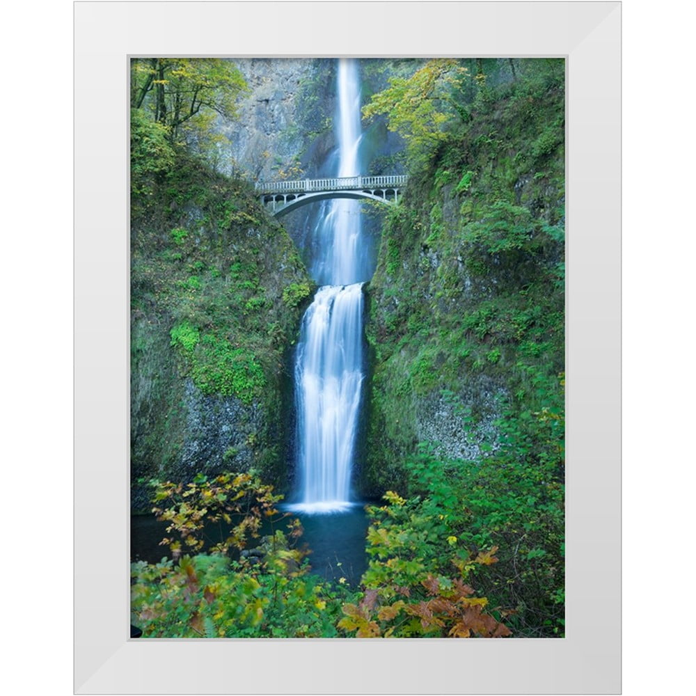 Wild, Jamie and Judy 19x24 White Modern Wood Framed Museum Art Print ...