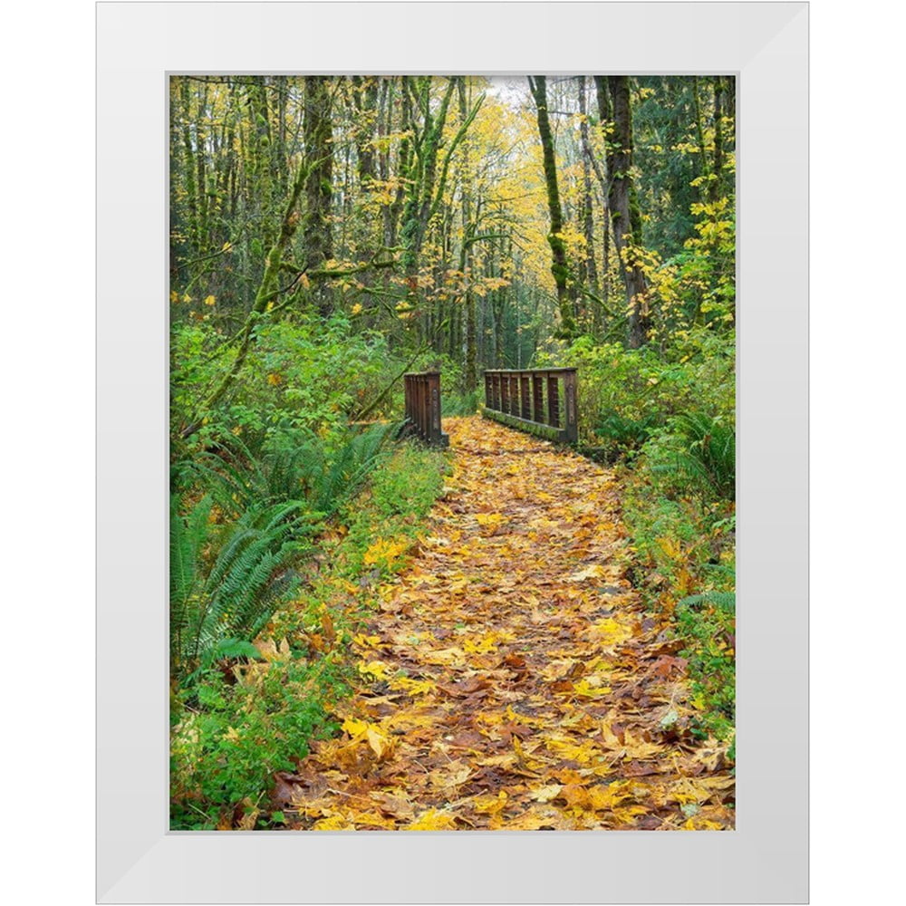 Wild, Jamie and Judy 19x24 White Modern Wood Framed Museum Art Print ...