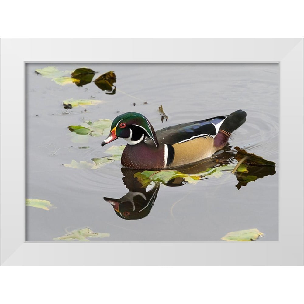 Wild, Jamie and Judy 24x18 White Modern Wood Framed Museum Art Print ...