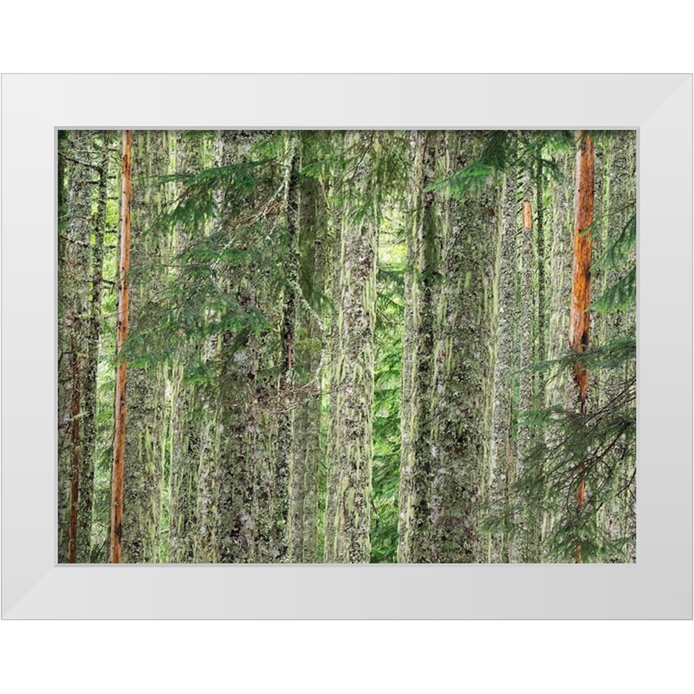 Wild, Jamie and Judy 24x19 White Modern Wood Framed Museum Art Print ...
