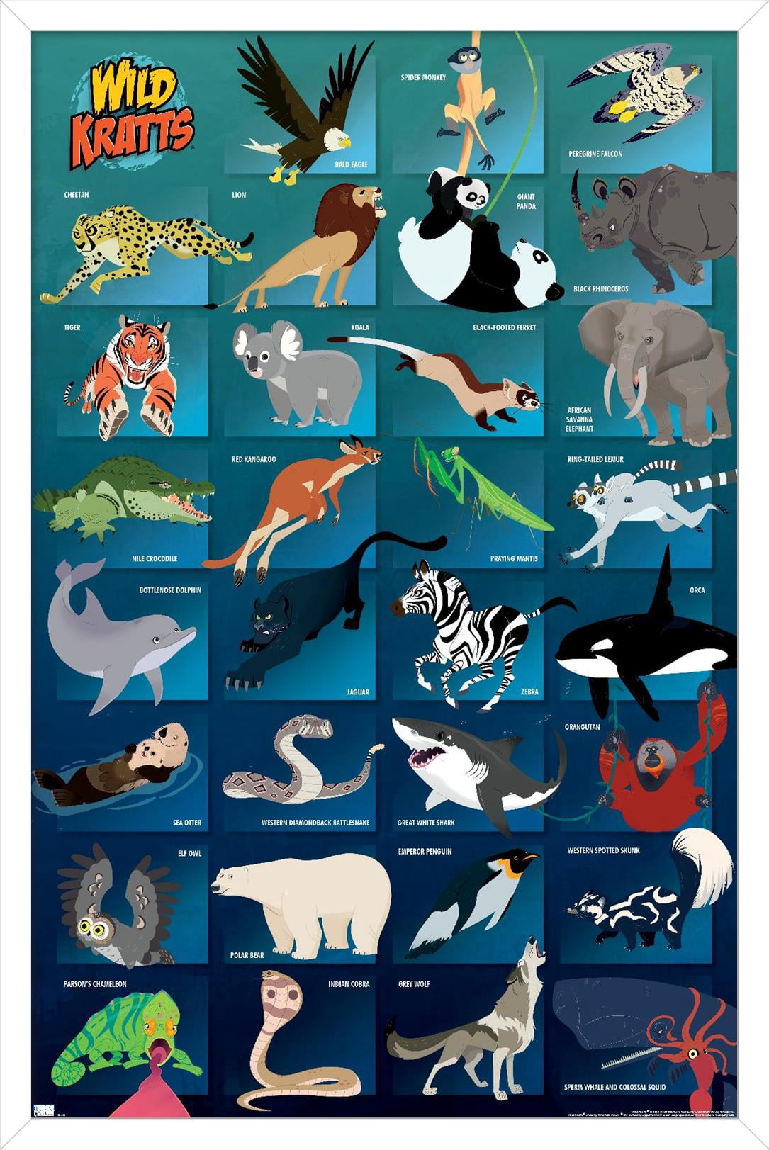 Wild Kratts - Grid Wall Poster, 14.725" x 22.375" Framed - Walmart.com