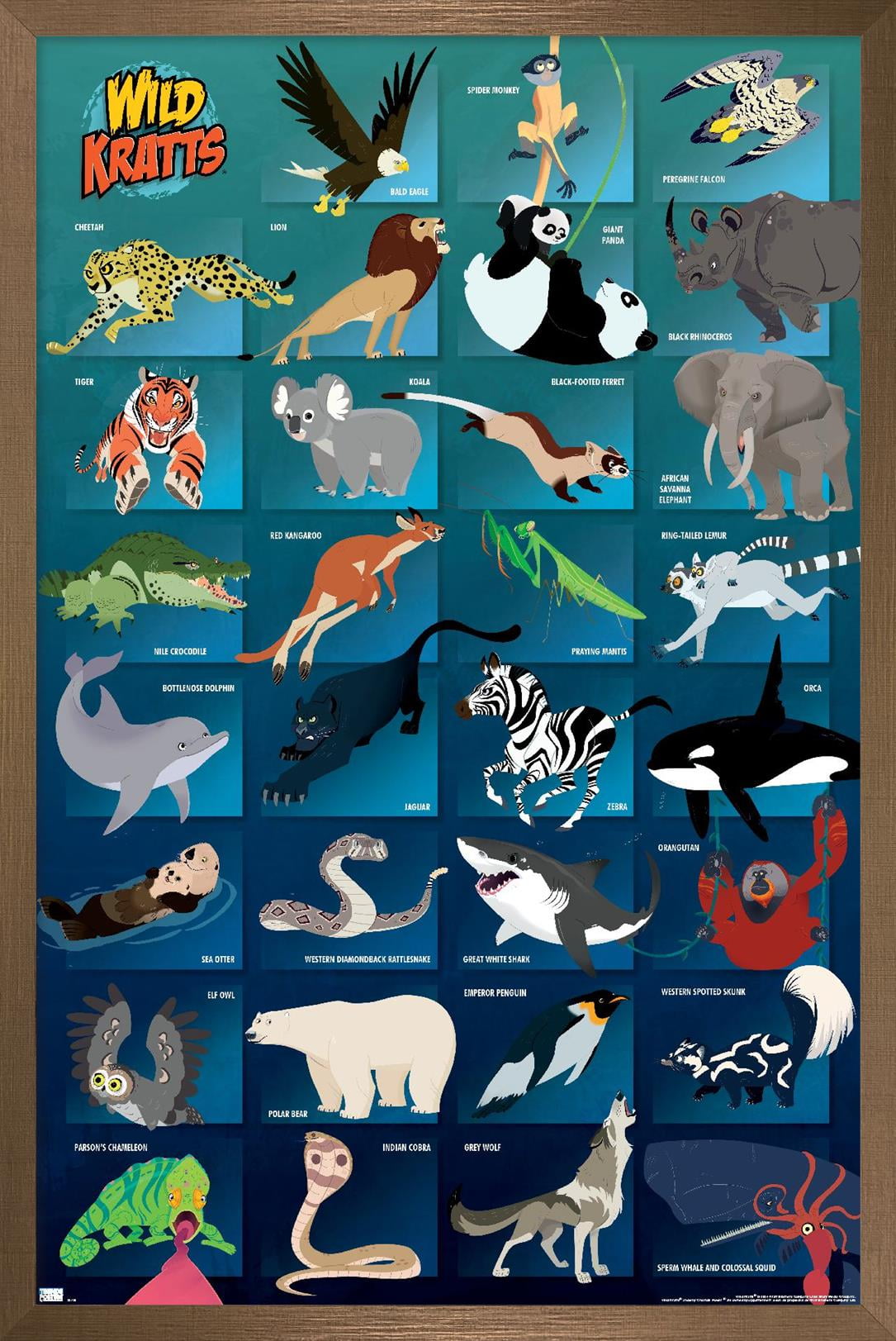 Wild Kratts - Grid Wall Poster, 22.375" x 34" Framed - Walmart.com