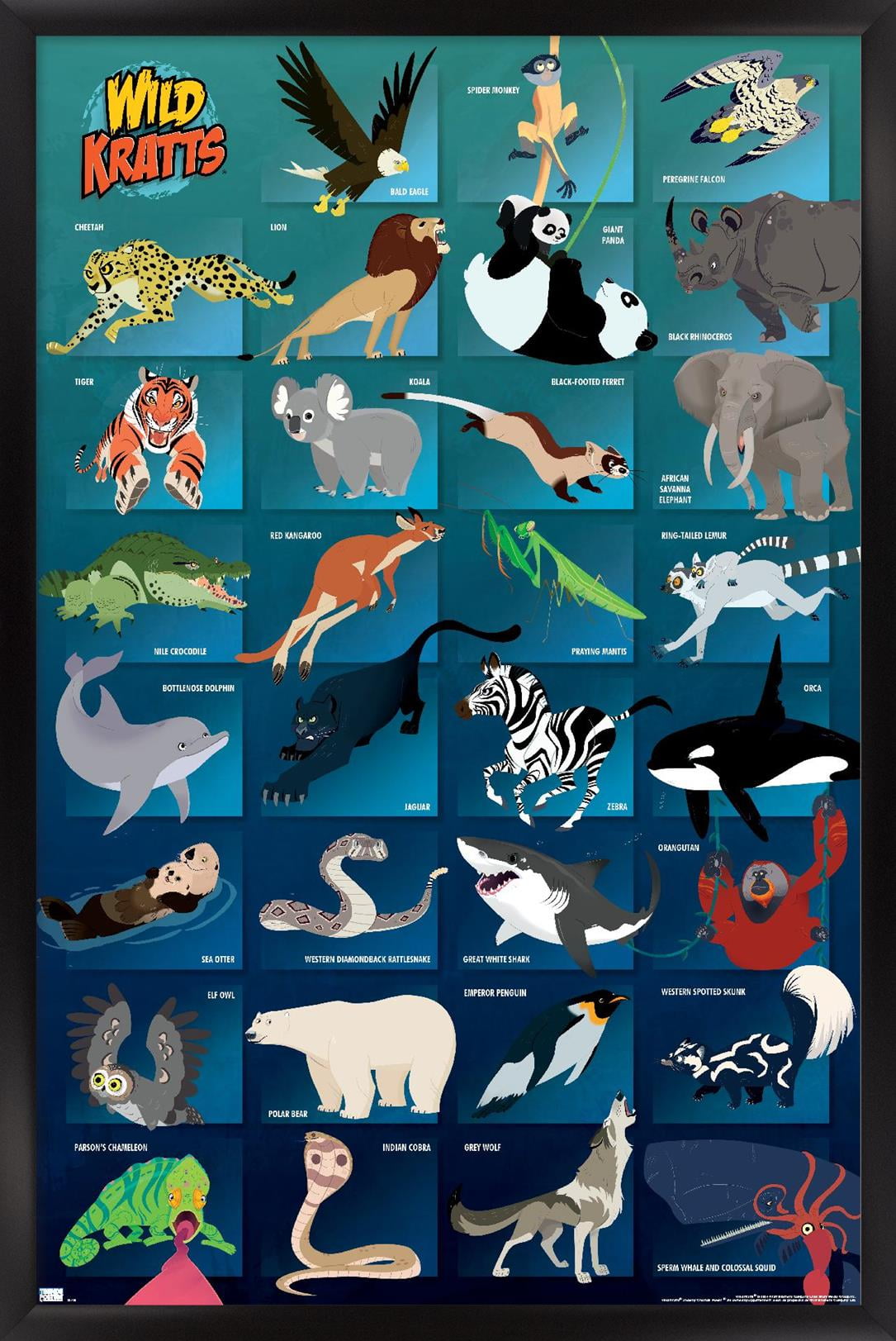 Wild Kratts - Grid Wall Poster, 22.375" x 34" Framed - Walmart.com