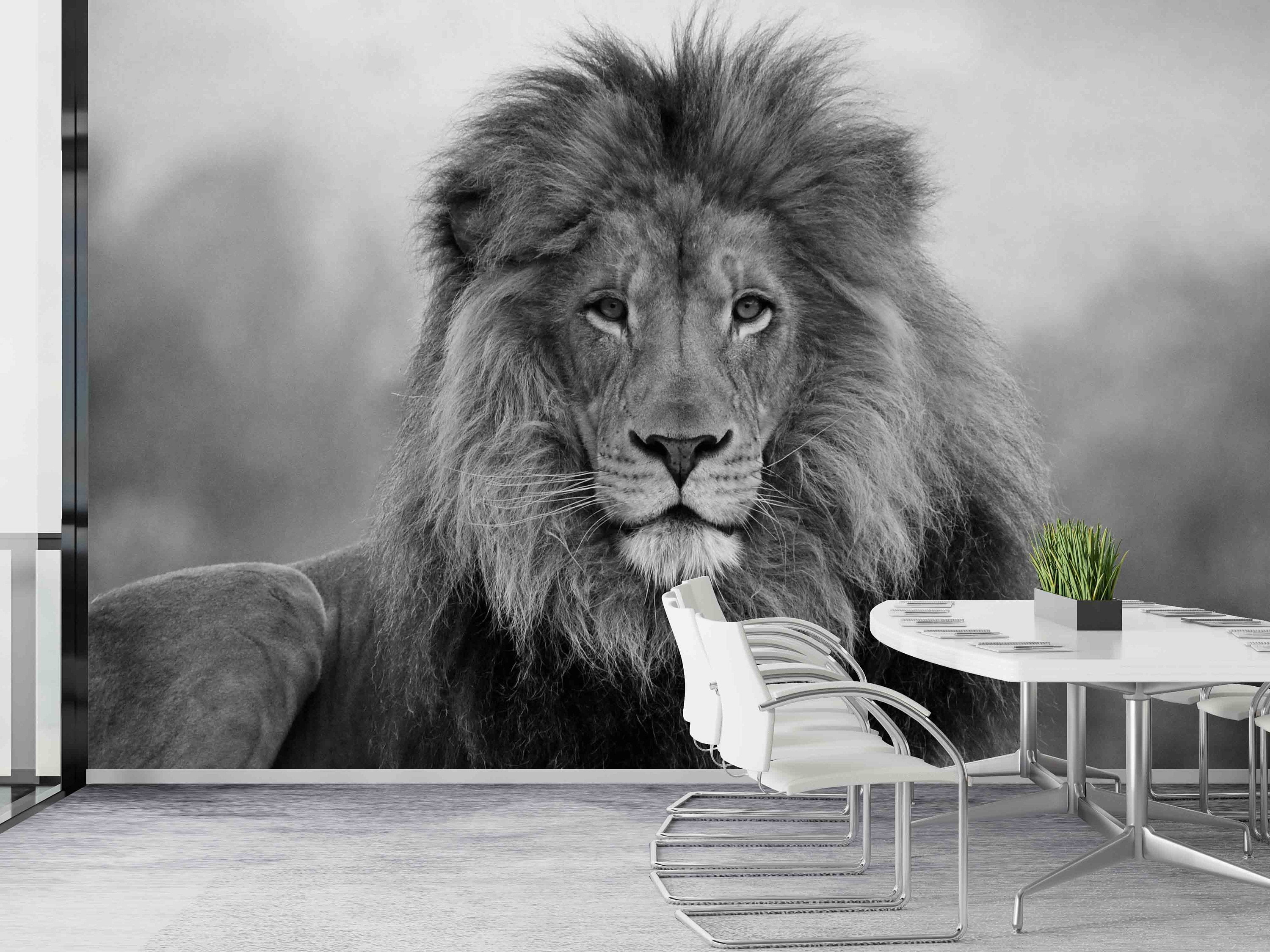 Wild Lion Wallpaper, Lion Paper Art, Wild Animal Wall Decor, Animal ...