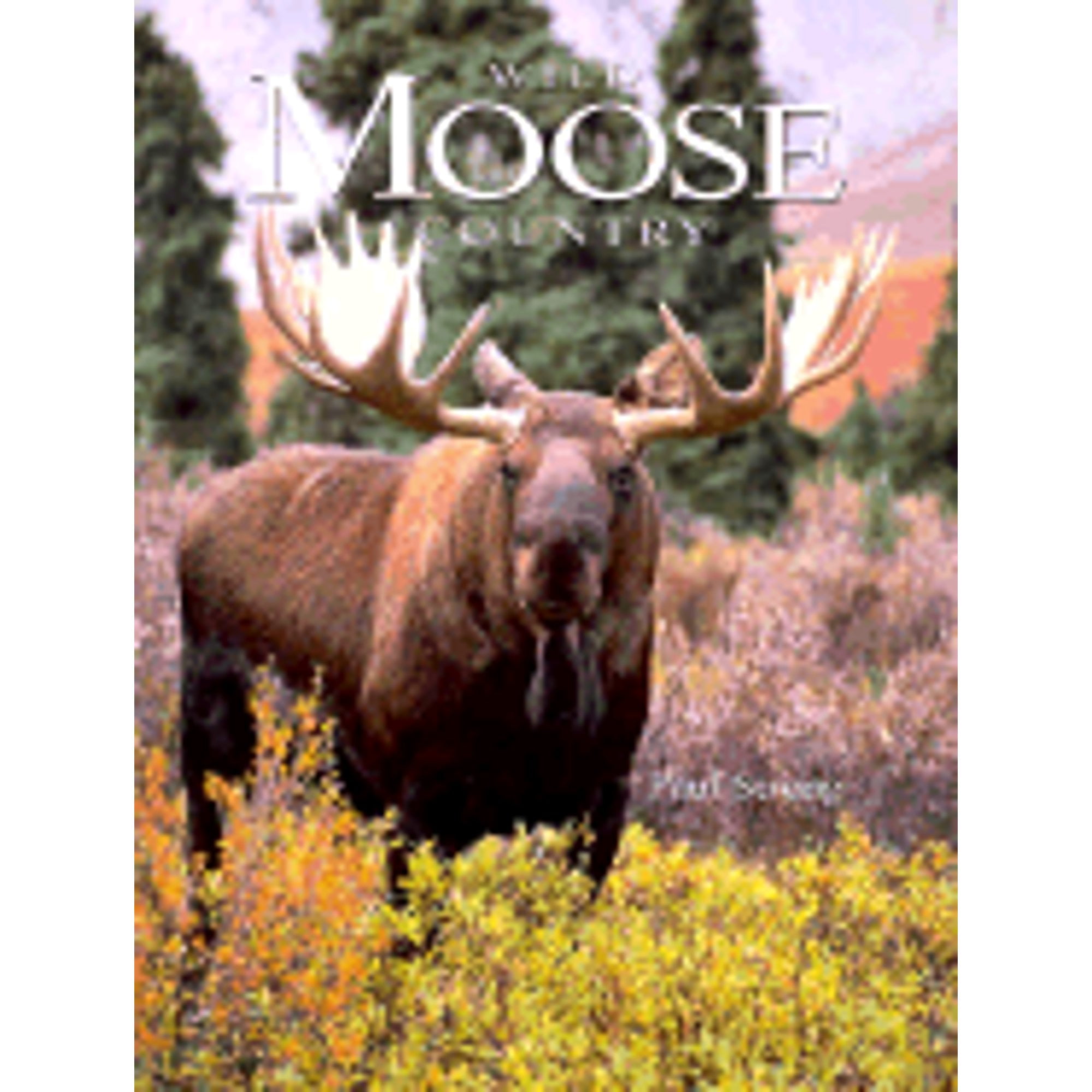 Wild Moose