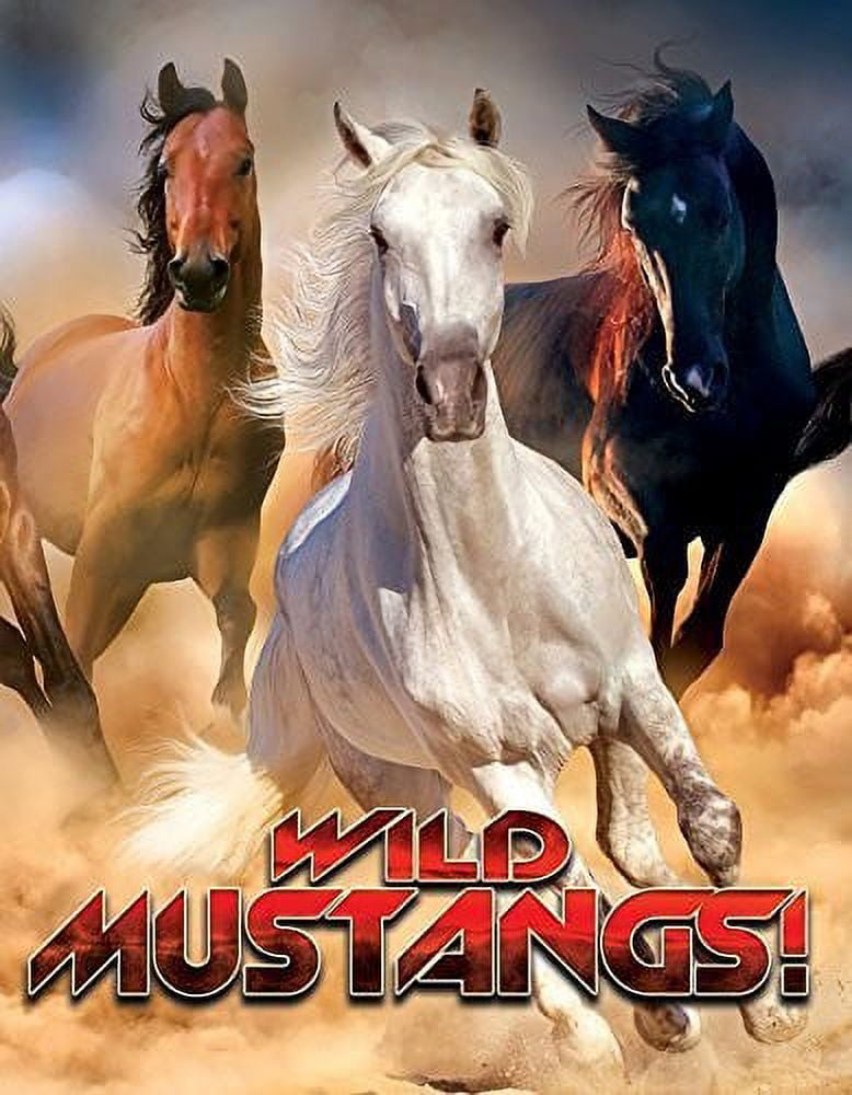Wild Mustangs (DVD), World Wide Multi Med, Documentary - Walmart.com