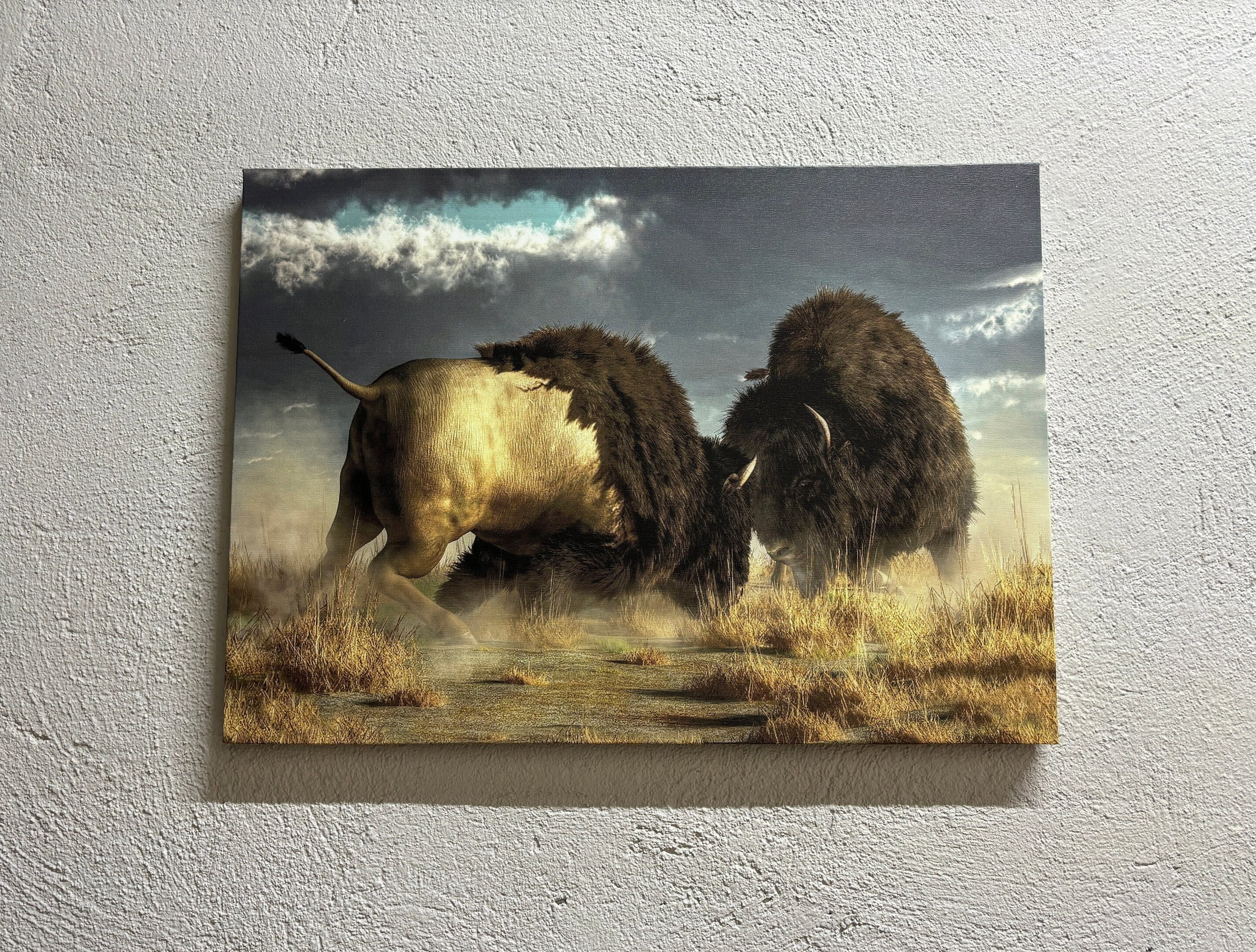 Wild Nature Poster, American Animal Wall Decor, Bison Battle Art Canvas ...