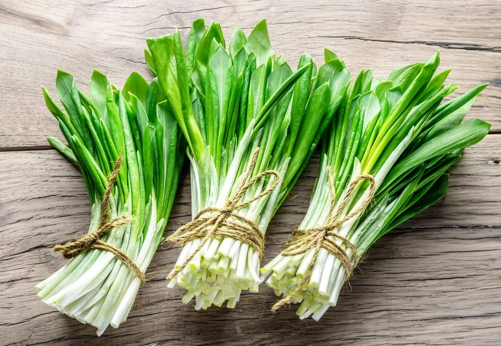 Wild Garlic Seed