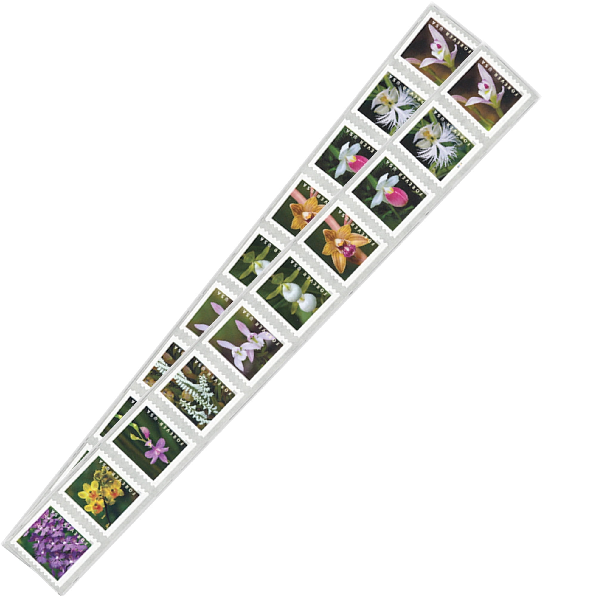 USPS First Class Forever Stamps, Wild Orchids Strip of 20 - For ...