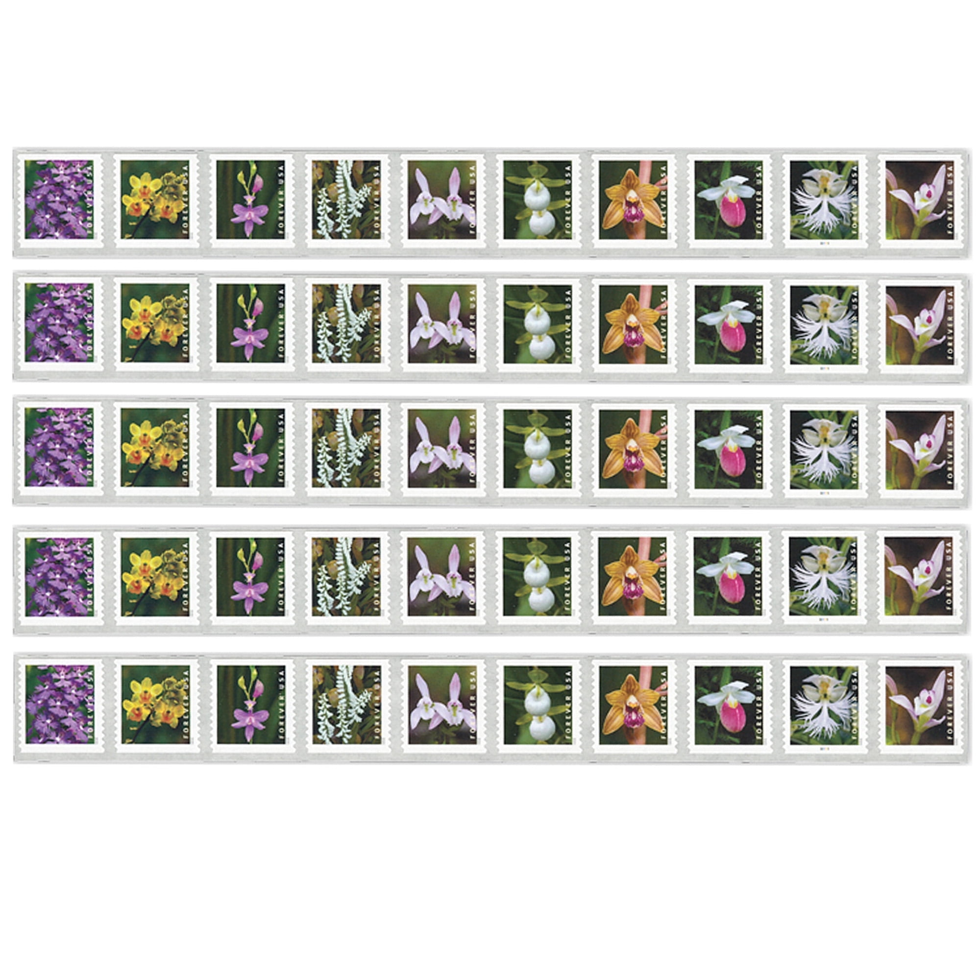 Wild Orchids 50 USPS Forever Stamps - First Class, Peel-n-Stick ...