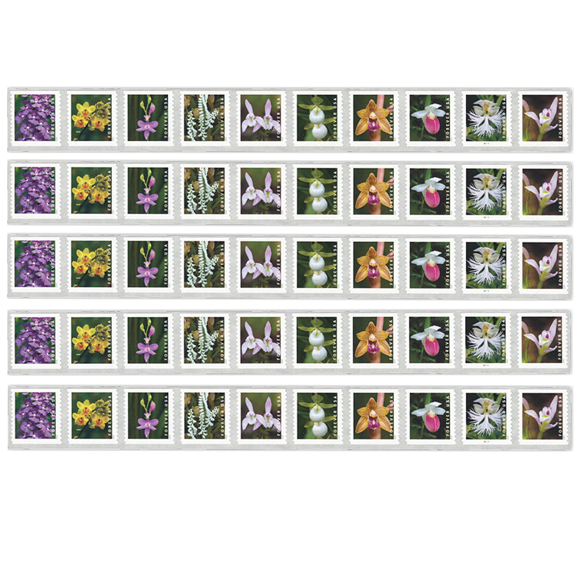 Wild Orchids 50 USPS Forever Stamps - First Class, Peel-n-Stick ...