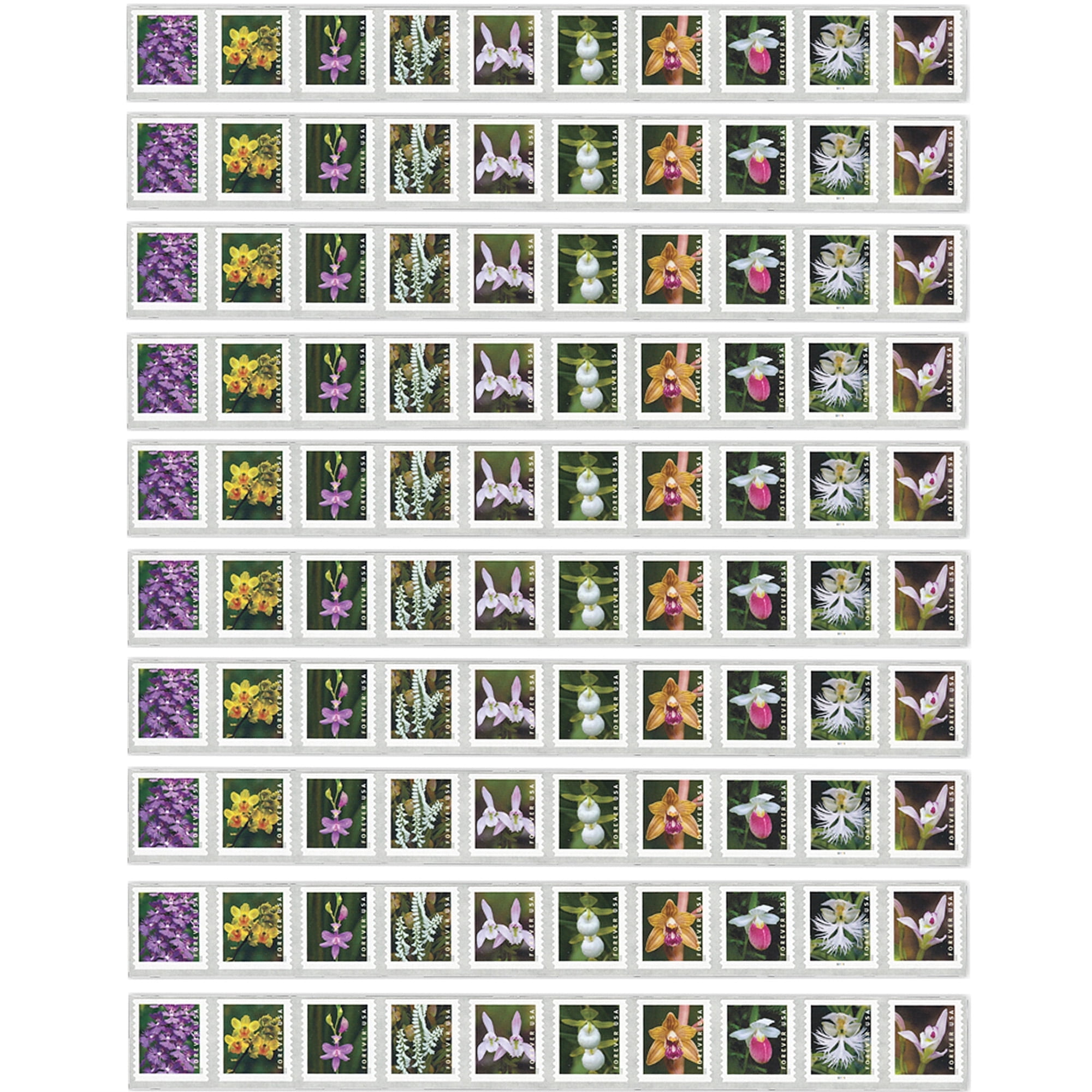 USPS Forever Wild Orchids Postage Stamps, Strip of 100 for First Class ...