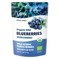 Wild Organic Dried Blueberries, No Added Sugar, No Added Oil, 4 Ounces ...