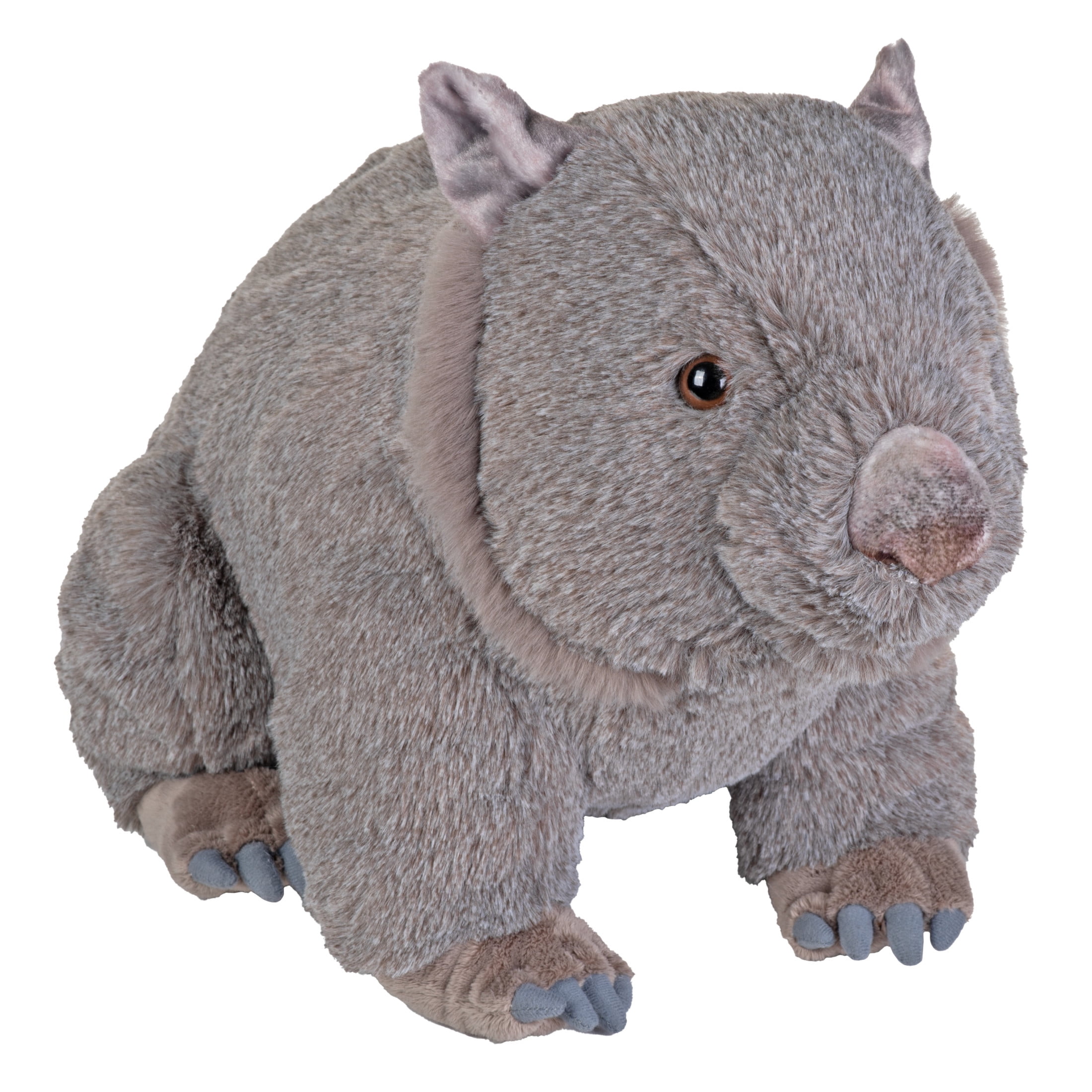 Wild Republic Artist Collection Wombat Stuffed Animal, 15 Inches ...