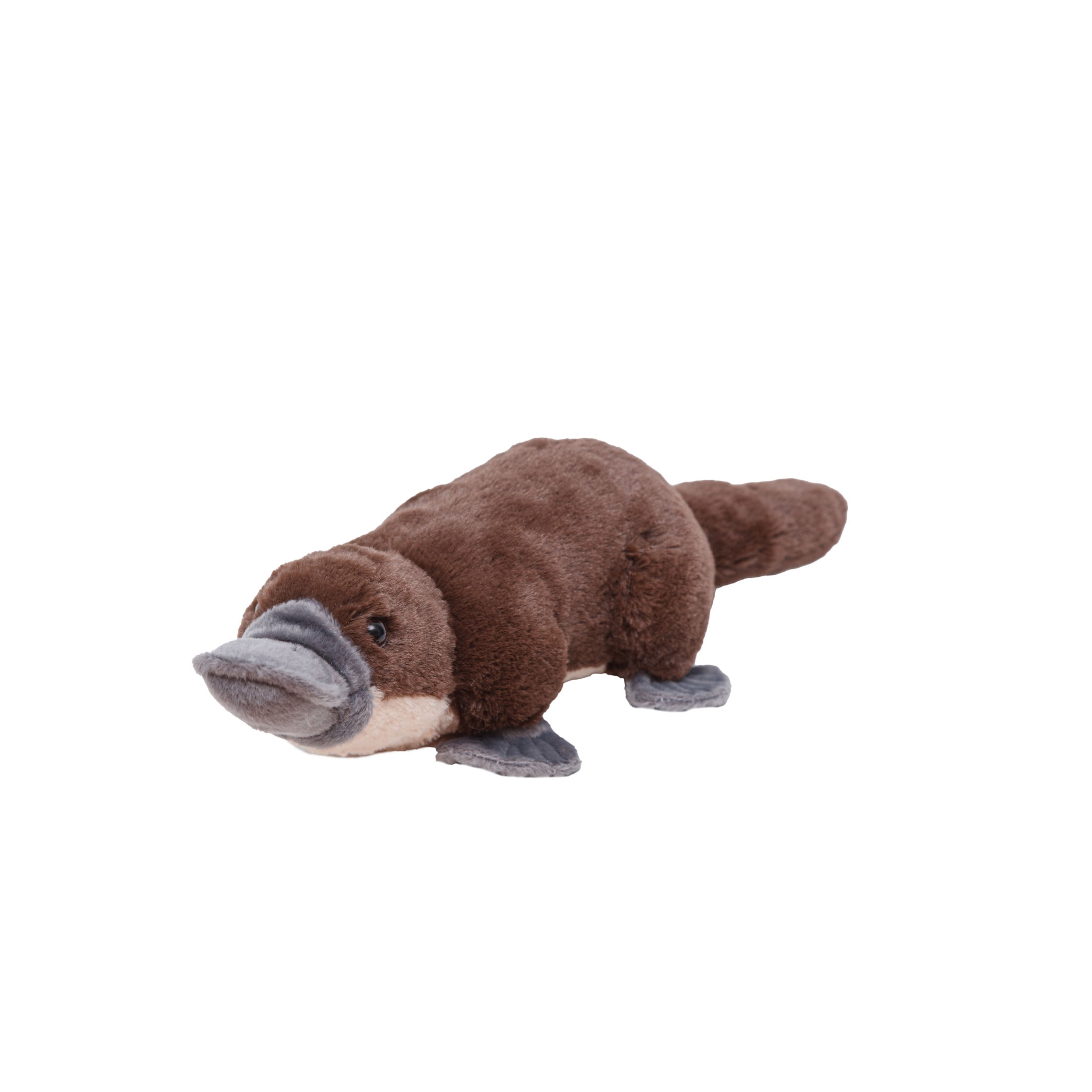 Wild Republic Cuddlekins Mini Platypus Stuffed Animal, 8 Inches ...