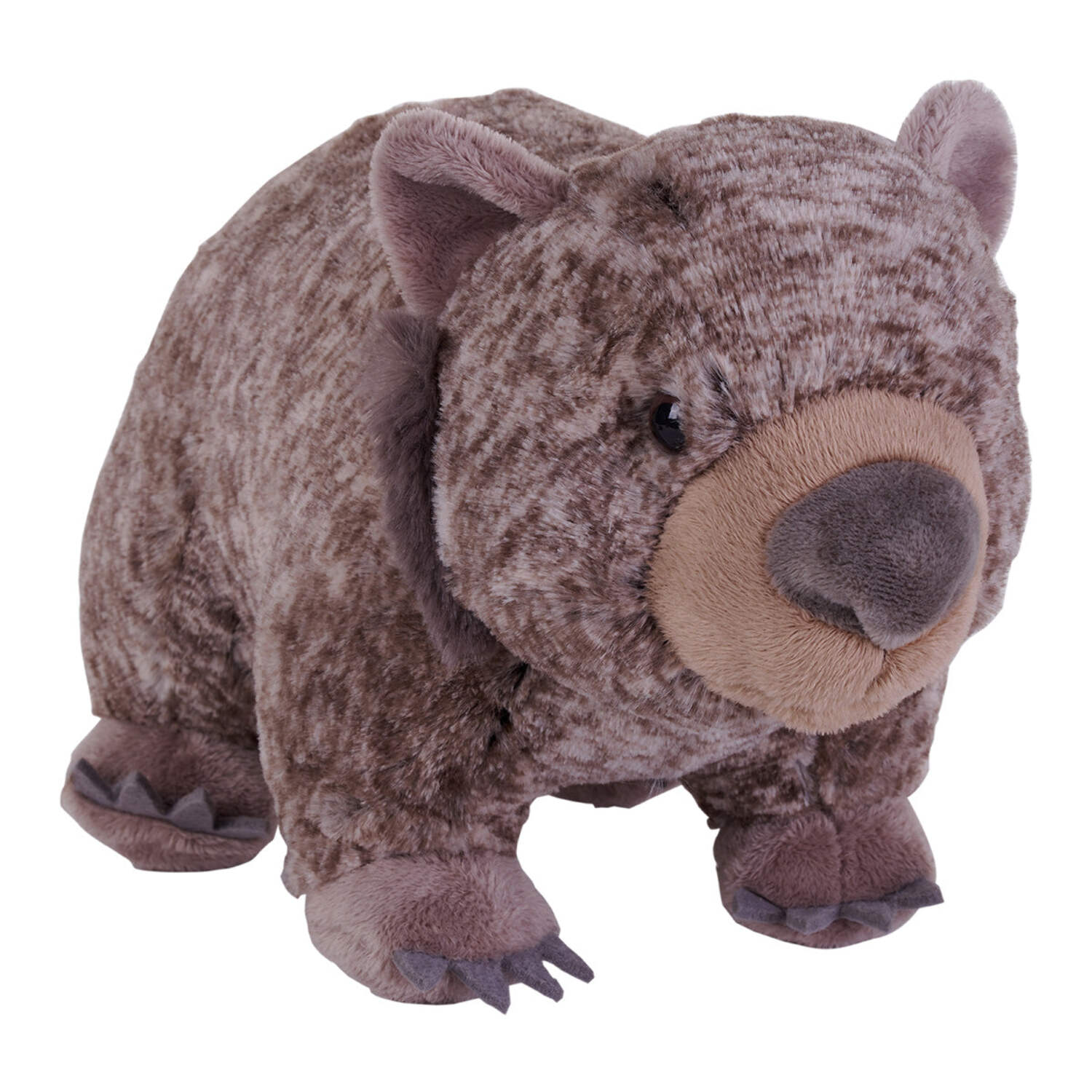 Wombat Stuffed Animals Teddy Bears