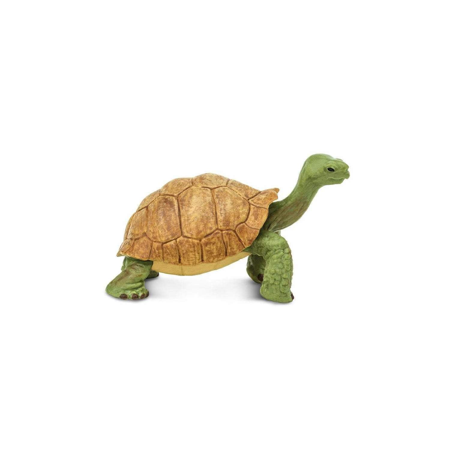Safari Ltd. Giant Tortoise Figurine - Lifelike 3" Figure - Educational ...
