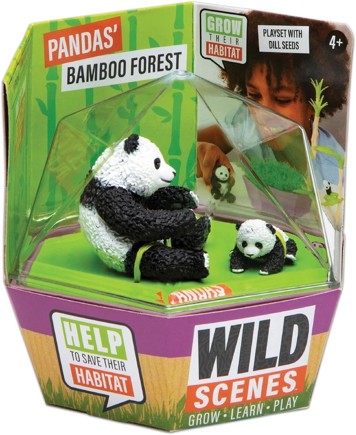 Wild Scenes Pandas' Bamboo Forest - Grow & Play Kit Environmentally ...