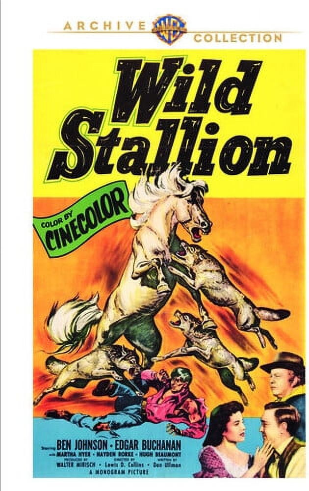 Wild Stallion (DVD), Warner Archives, Western - Walmart.com