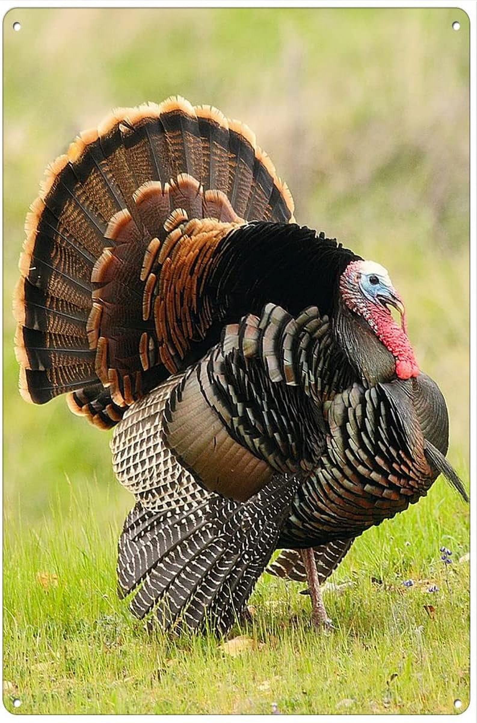 Wild Turkey Antique Tin Sign Rustic Wall Decor Vintage Tin Signs Wall ...