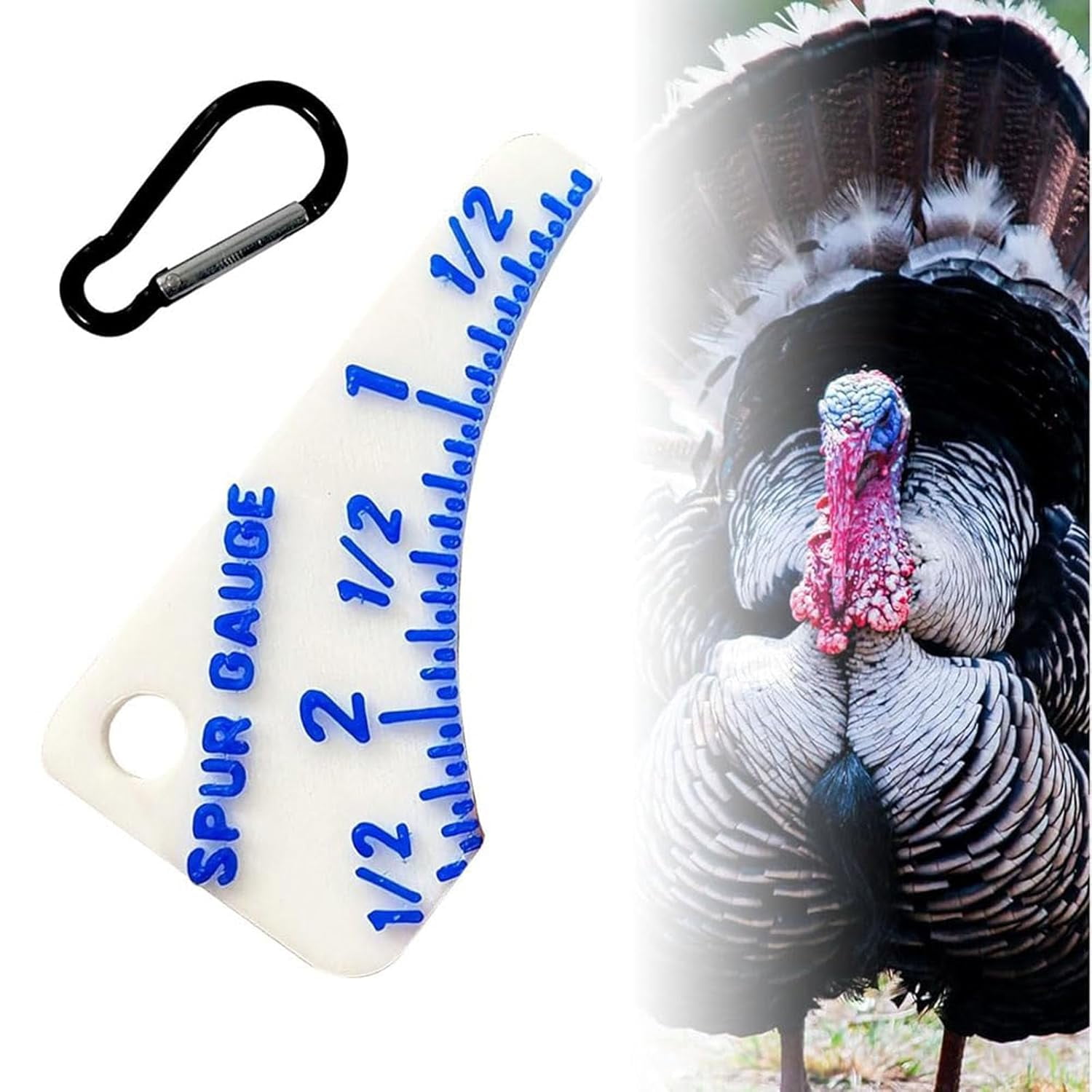Wild Turkey Spur Gauge, Precision Tool for Measuring Turkey Spur Length ...