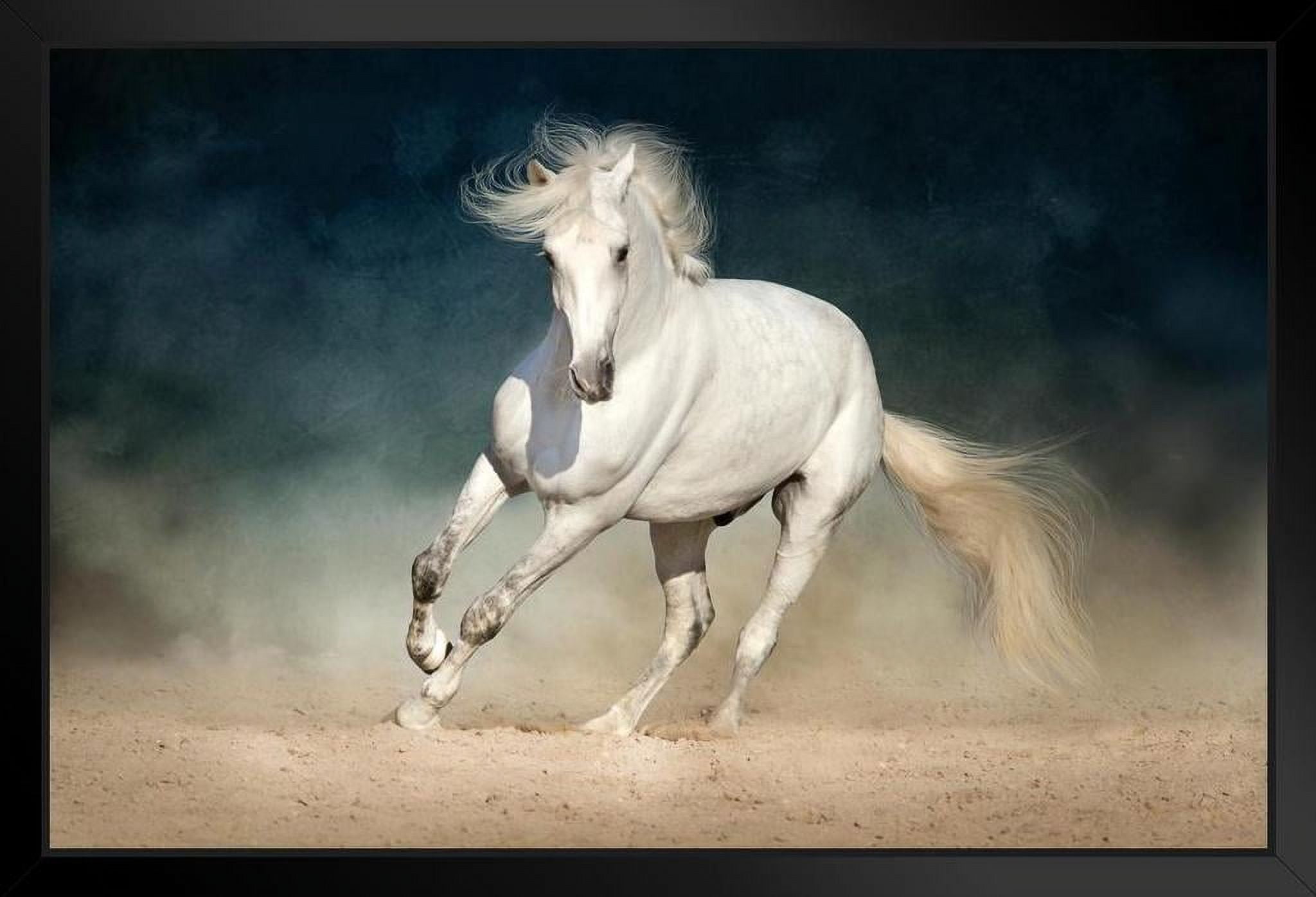 Wild White Andalusian Horse Animal Wild Horses Decor Galloping Horses ...