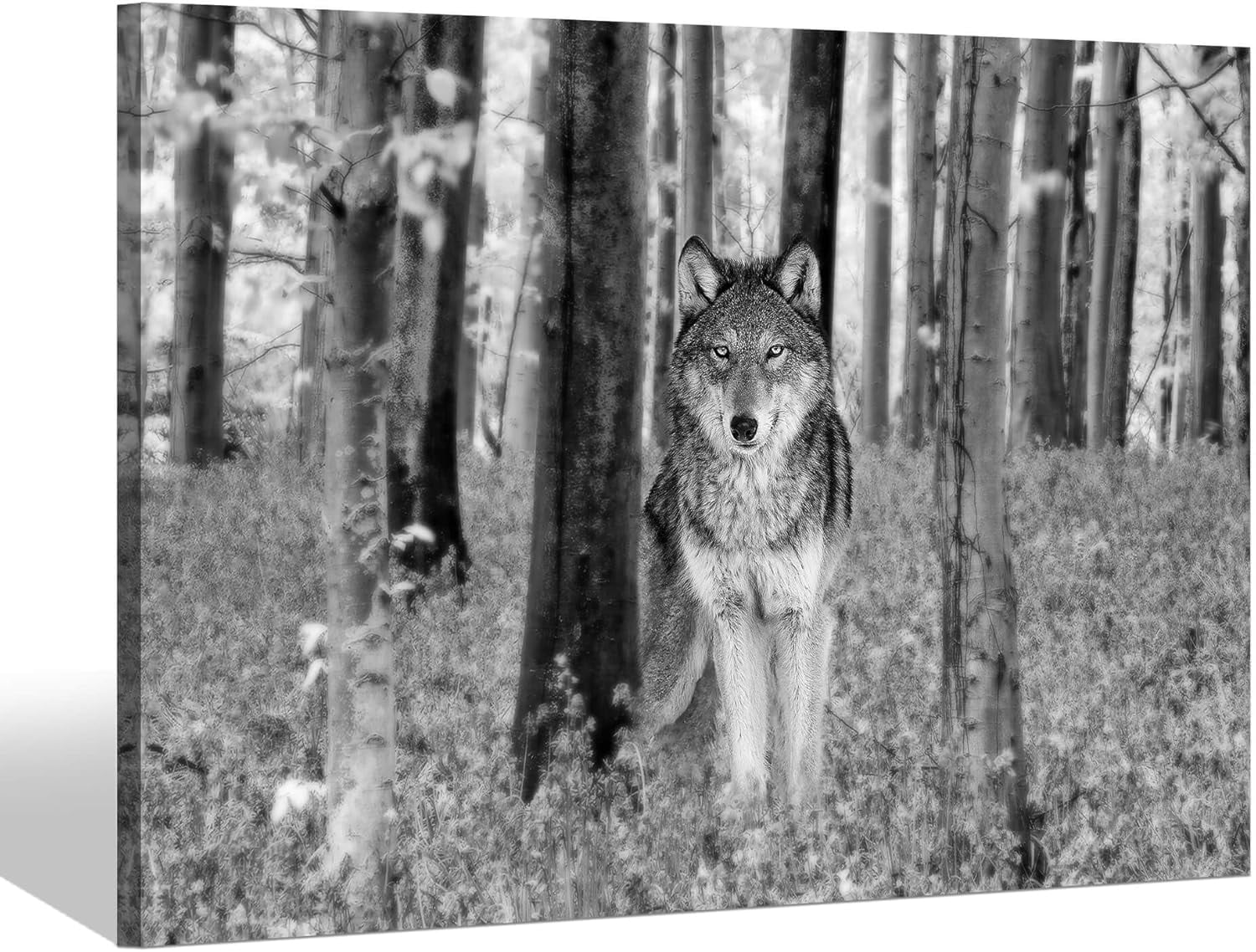 Wild Wolf Wall Art Canvas - Watchful Animals Wolves in Forest Nature ...