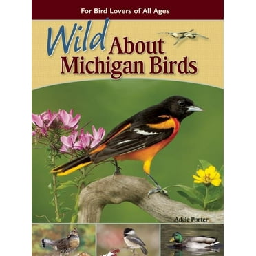 Bird Identification Guides Birds of Michigan Field Guide, (Paperback ...