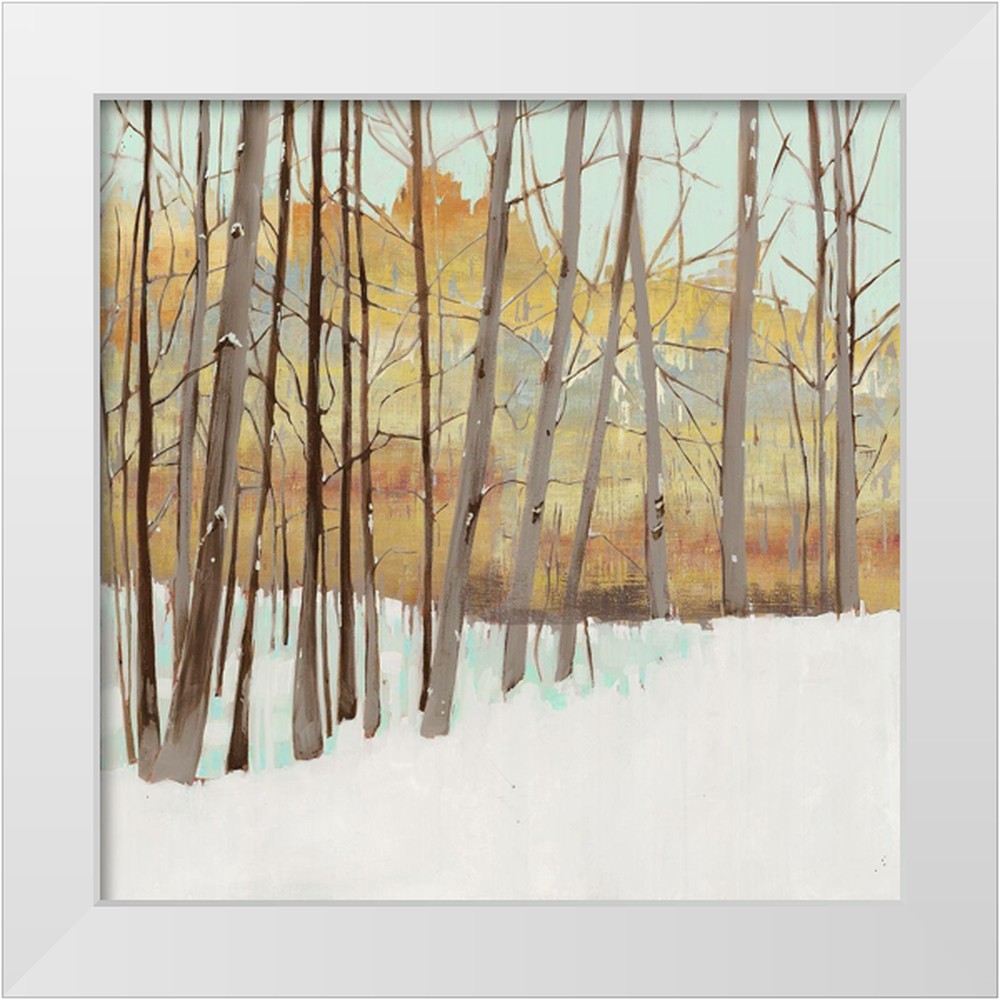Wilde, Susan 15x15 White Modern Wood Framed Museum Art Print Titled ...