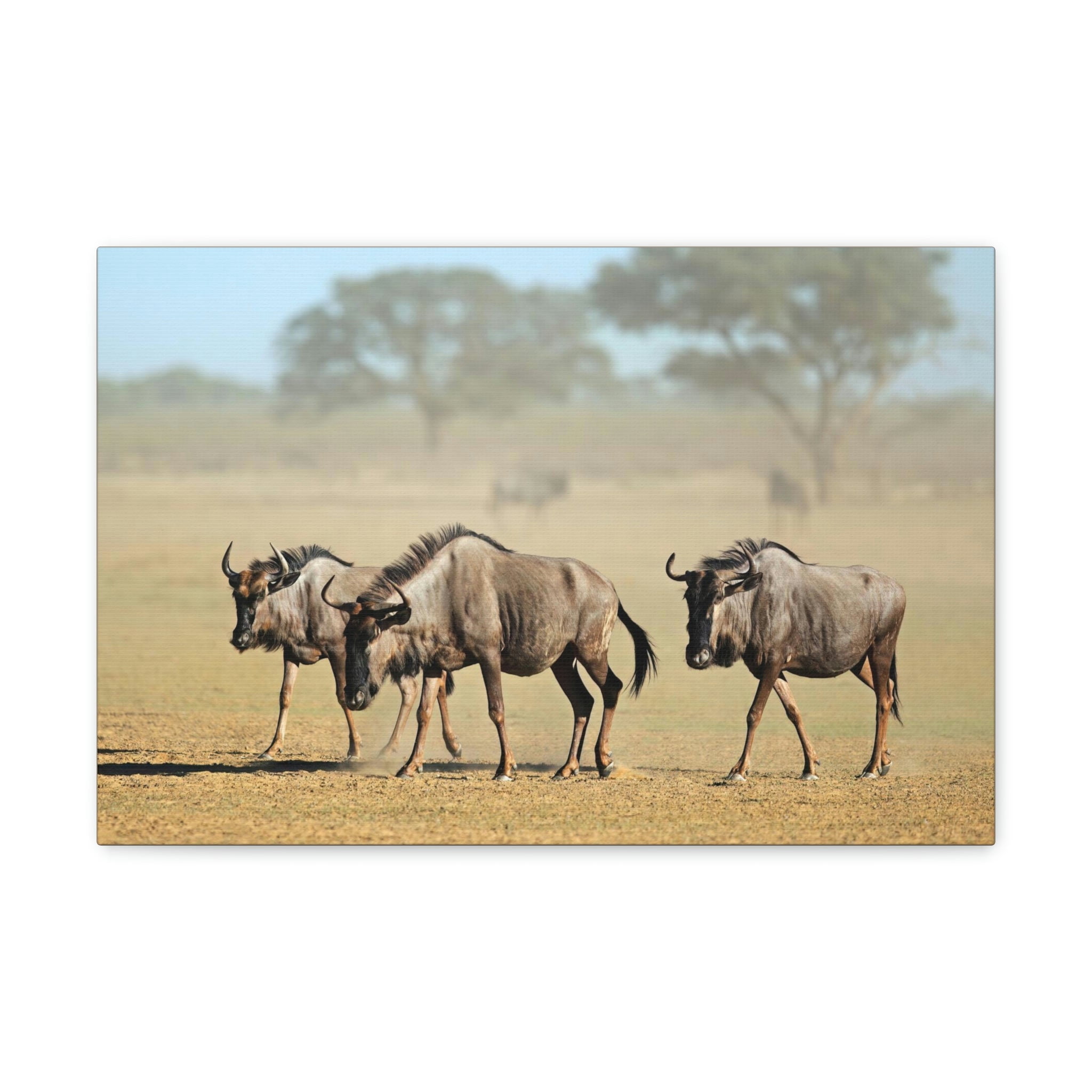 Wildebeest Group Wildebeest Troop Print Animal Wall Art Wildlife Canvas ...