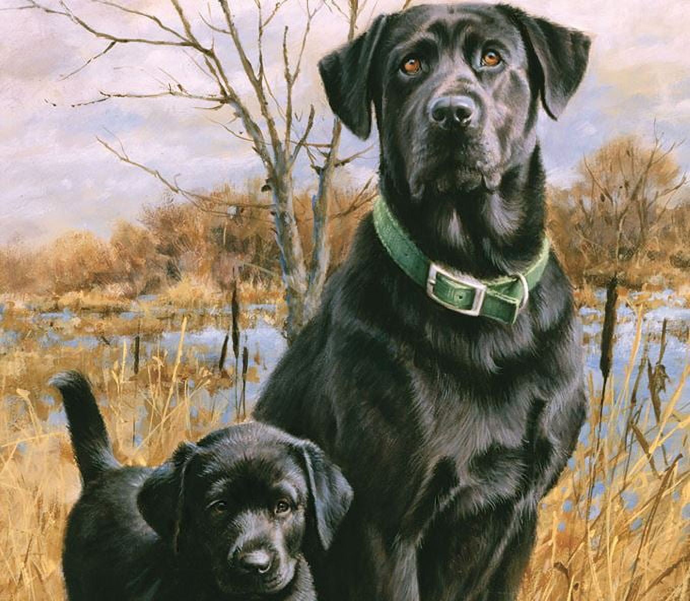 Wild Frontier Wilderness Plush Heavyweight Dog Throw Blanket ...