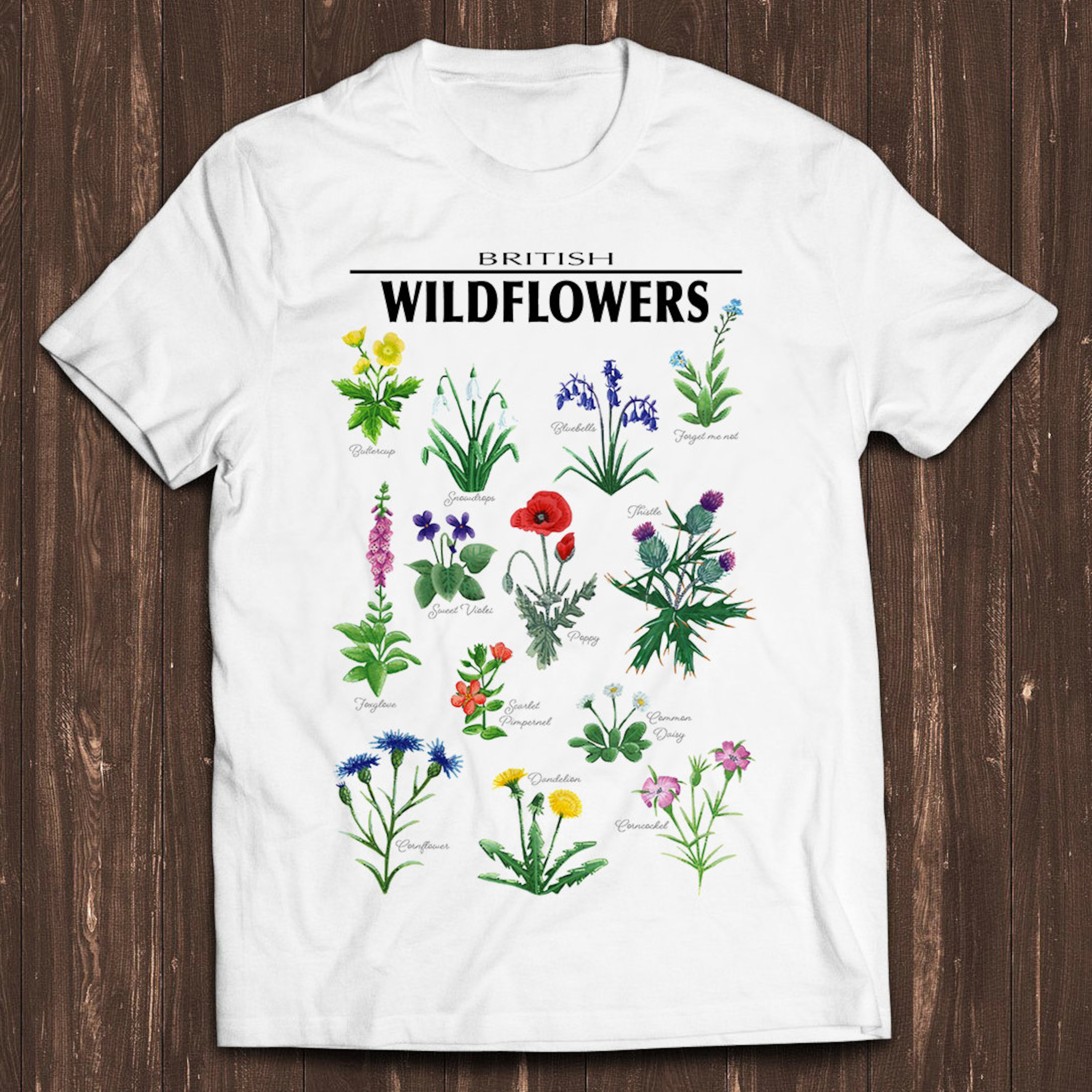 Wildflower Botanical Plant Flowers Fleur British Flower Variations ...