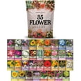 Wildflower, Perennial, Annual Flower Seed Kit | 35 Variety Pack - Walmart.com