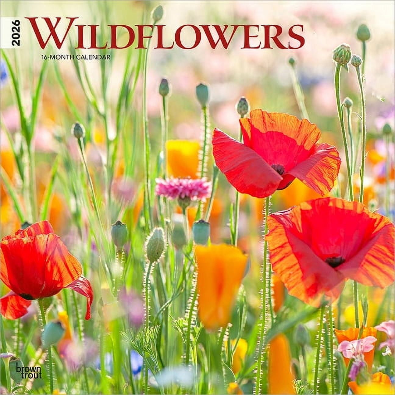 Wildflowers 2026 12 X 24 Inch (Hanging) Monthly Square Wall Calendar ...