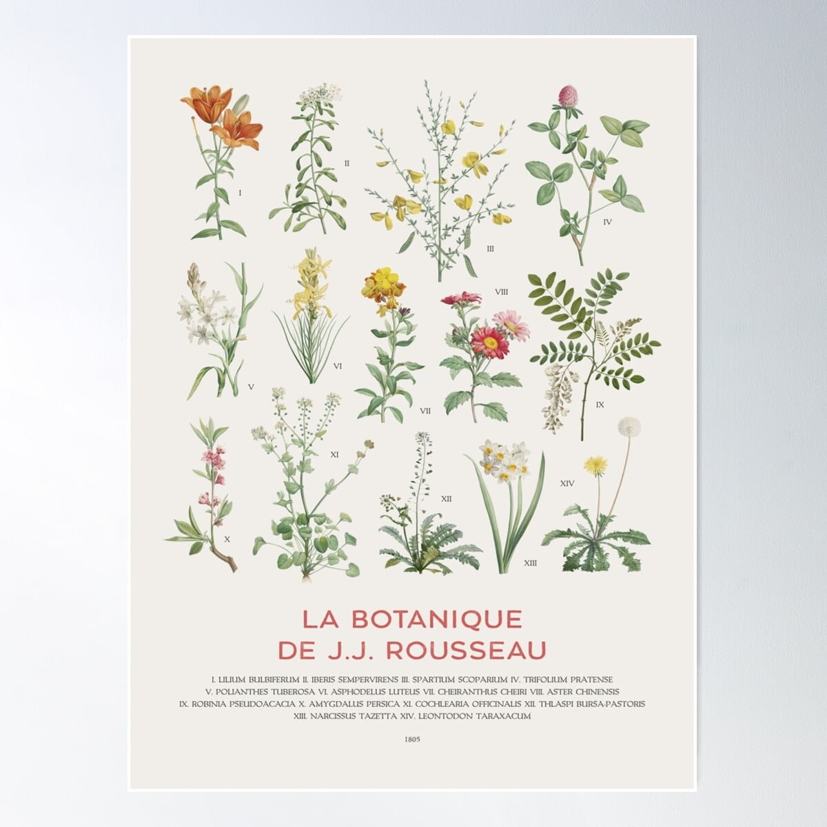 Wildflowers Botanical Chart Poster Wall Art, Modern Wall Decor For ...