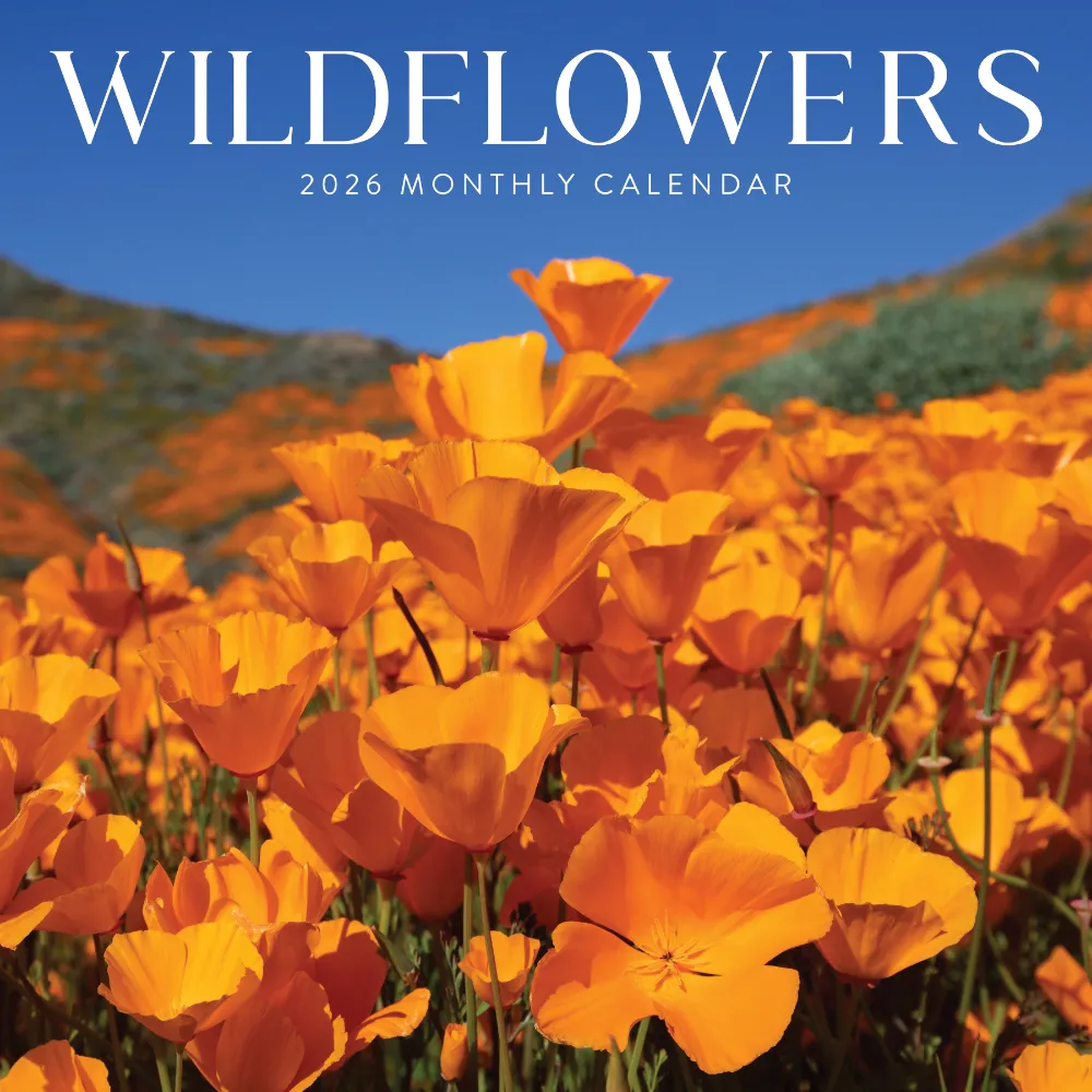 Wildflowers Calendar 2026 | 12" x 24" Wildflower Wall Calendar 16 Month ...