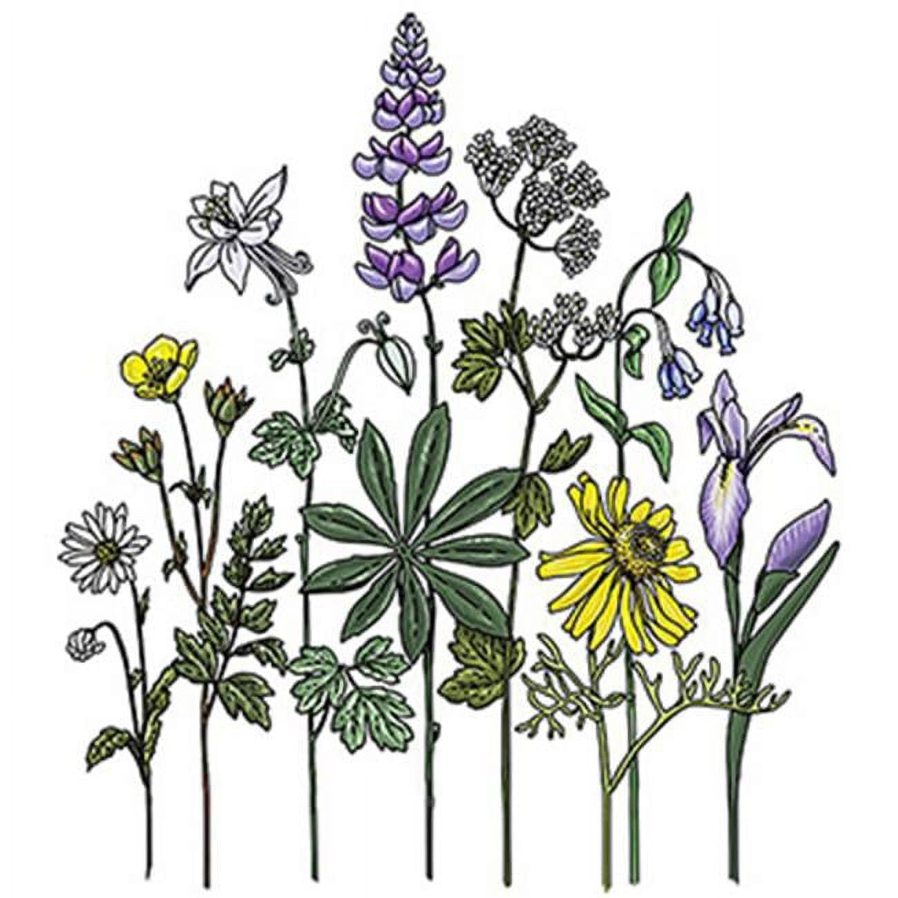 Wildflowers Galore: Sticker Art Stickers - Perfect Gifts for Nature ...