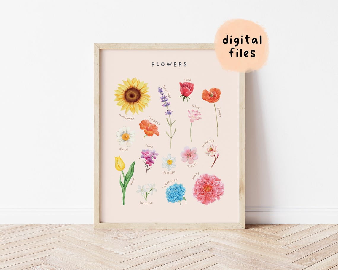 Wildflowers Montessori Educational Poster, Watercolor Homeschool ...