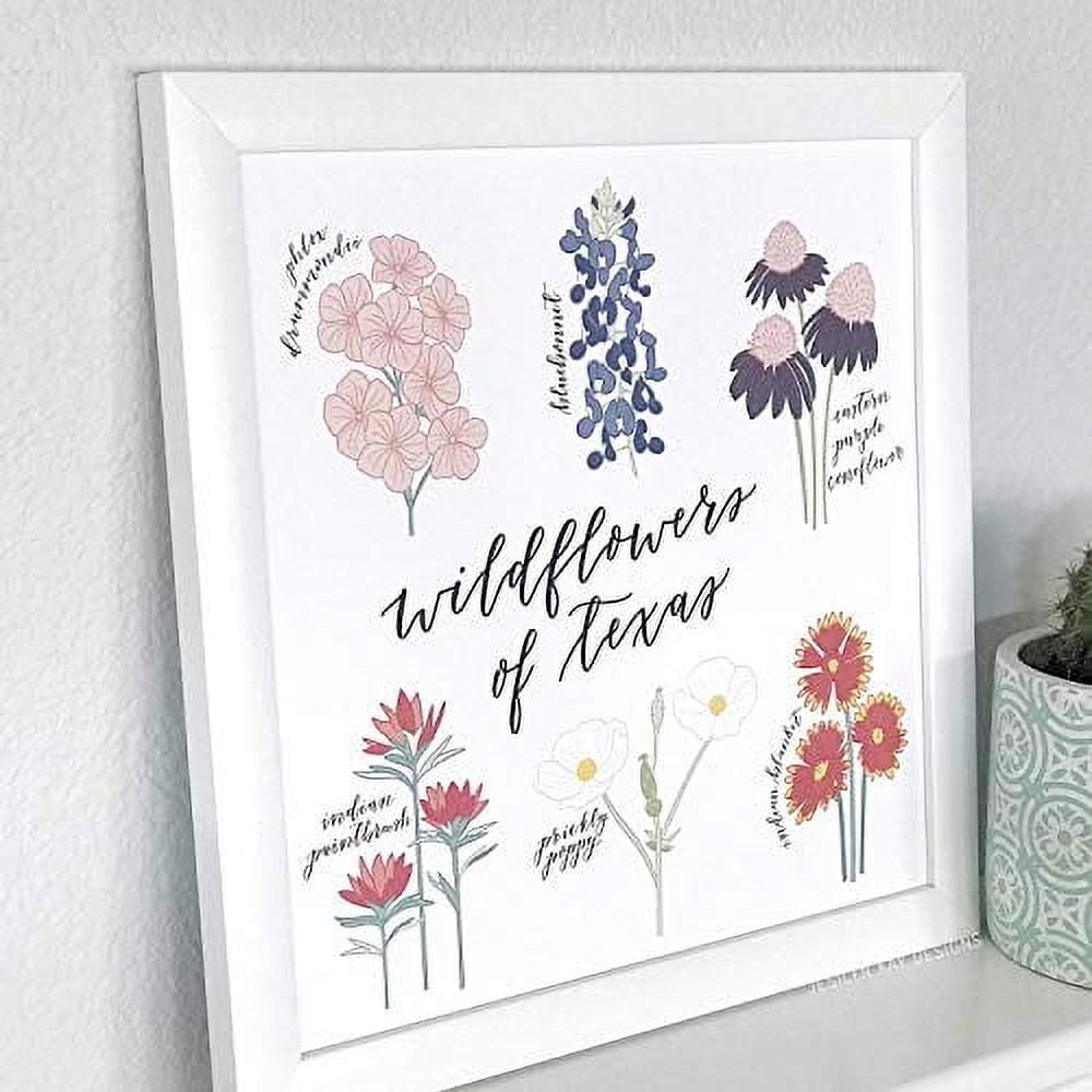 Wildflowers of Texas Art Print, Large 12x12 Hand Illustrated Texas ...
